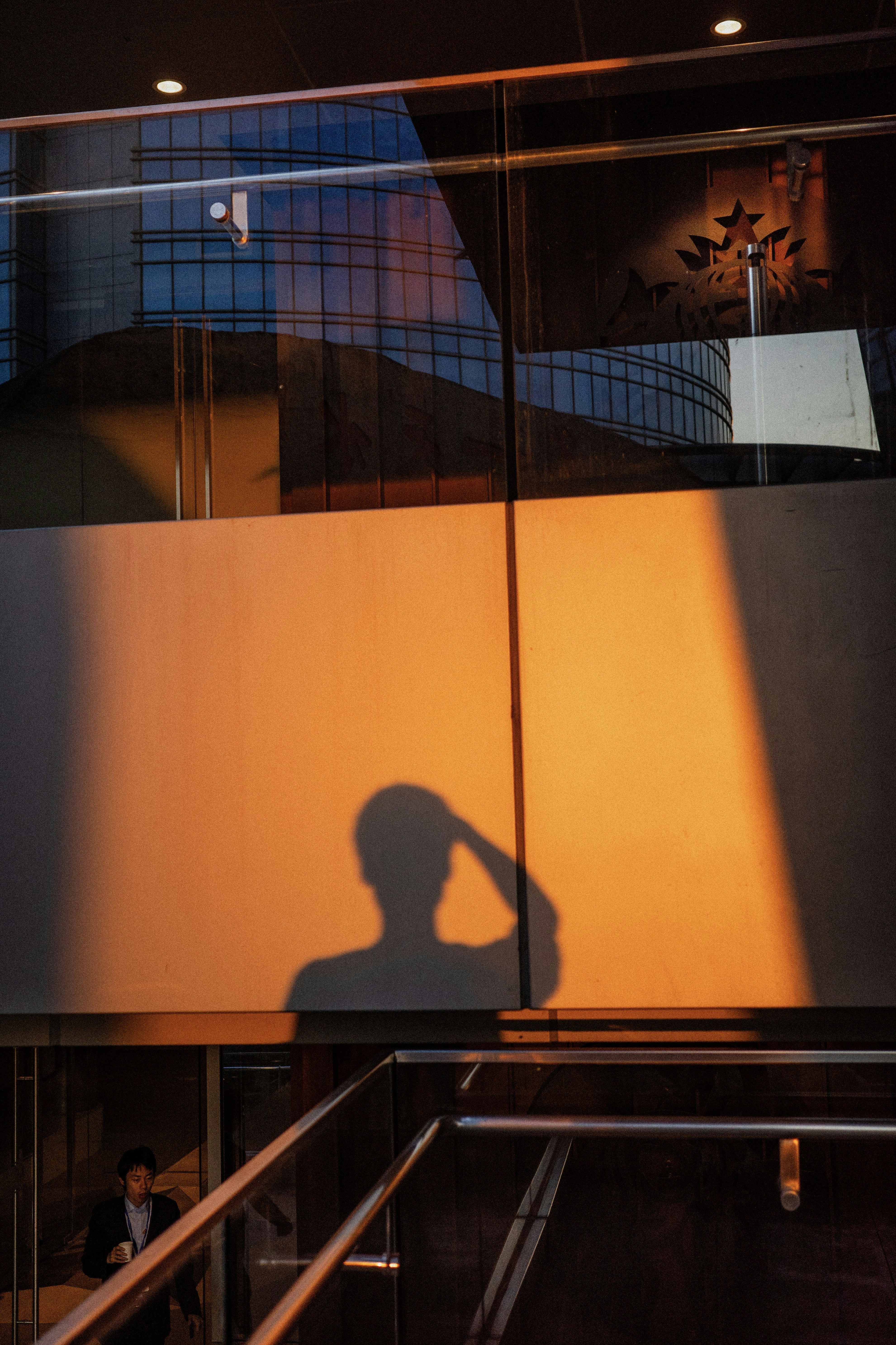 Shadow of a Sunlit Figure on Urban Glass