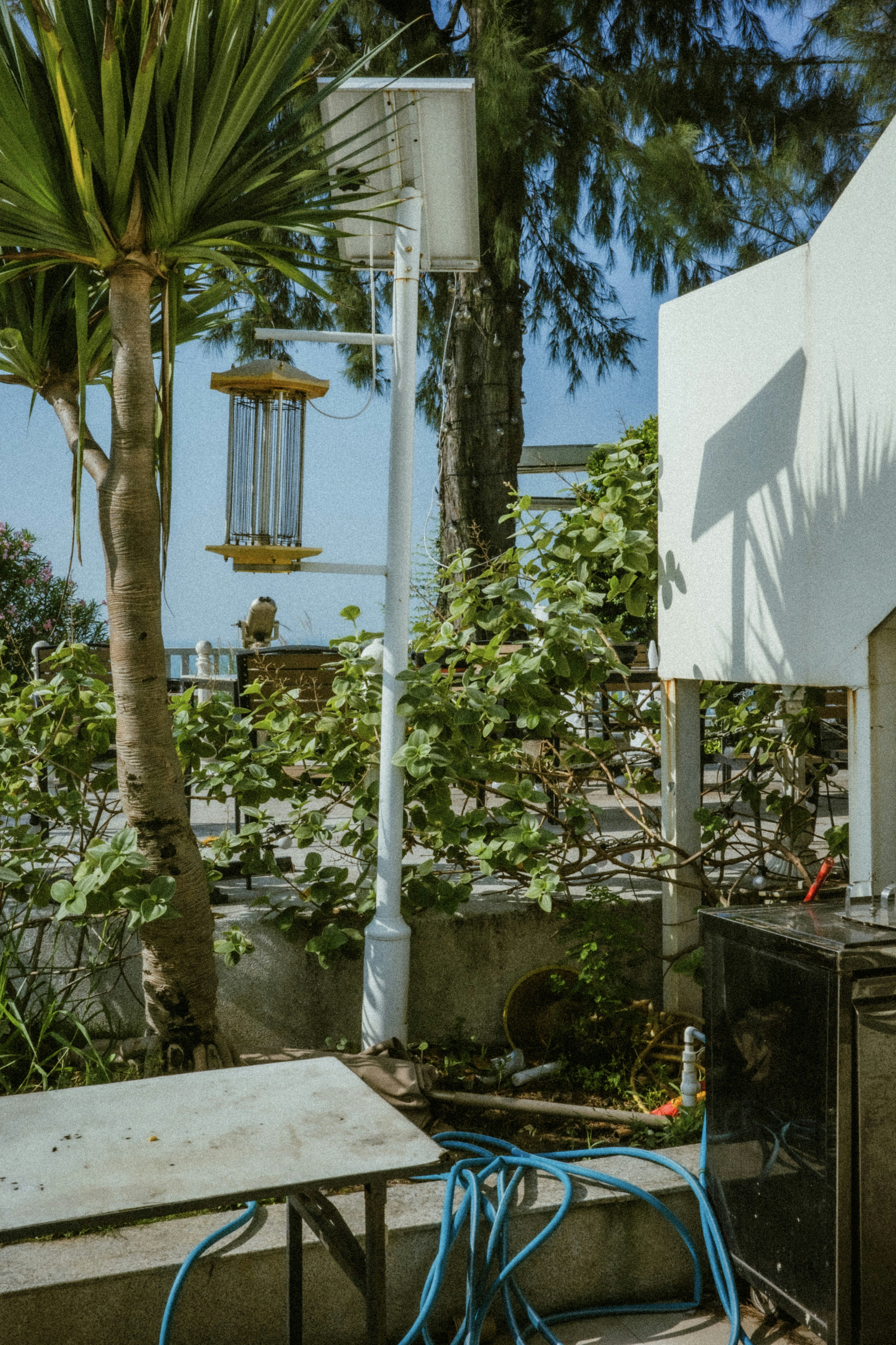 Sunlit courtyard with hanging lantern and tangled hoses