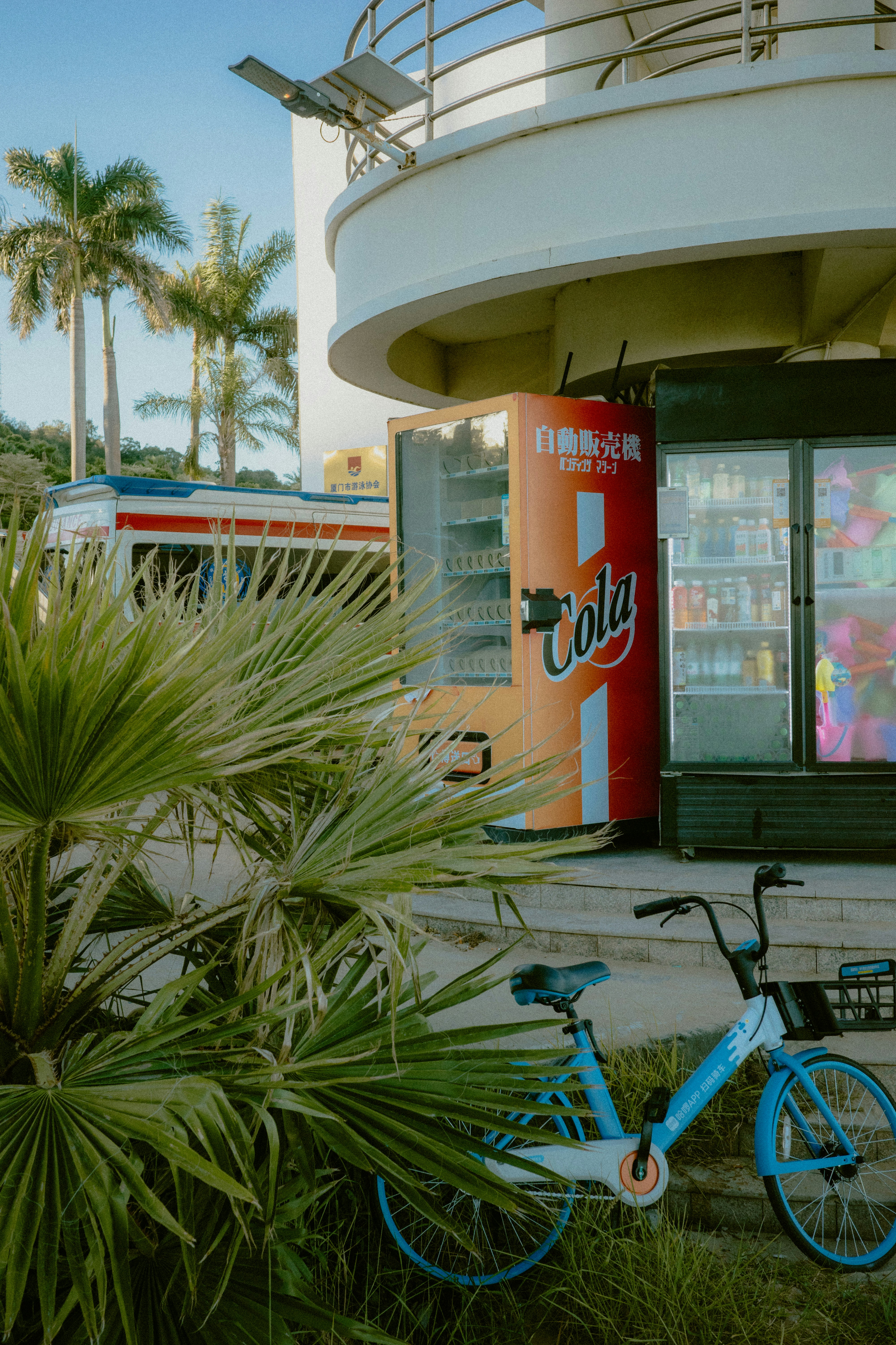 A blue bicycle parked near vending machines and palm trees.