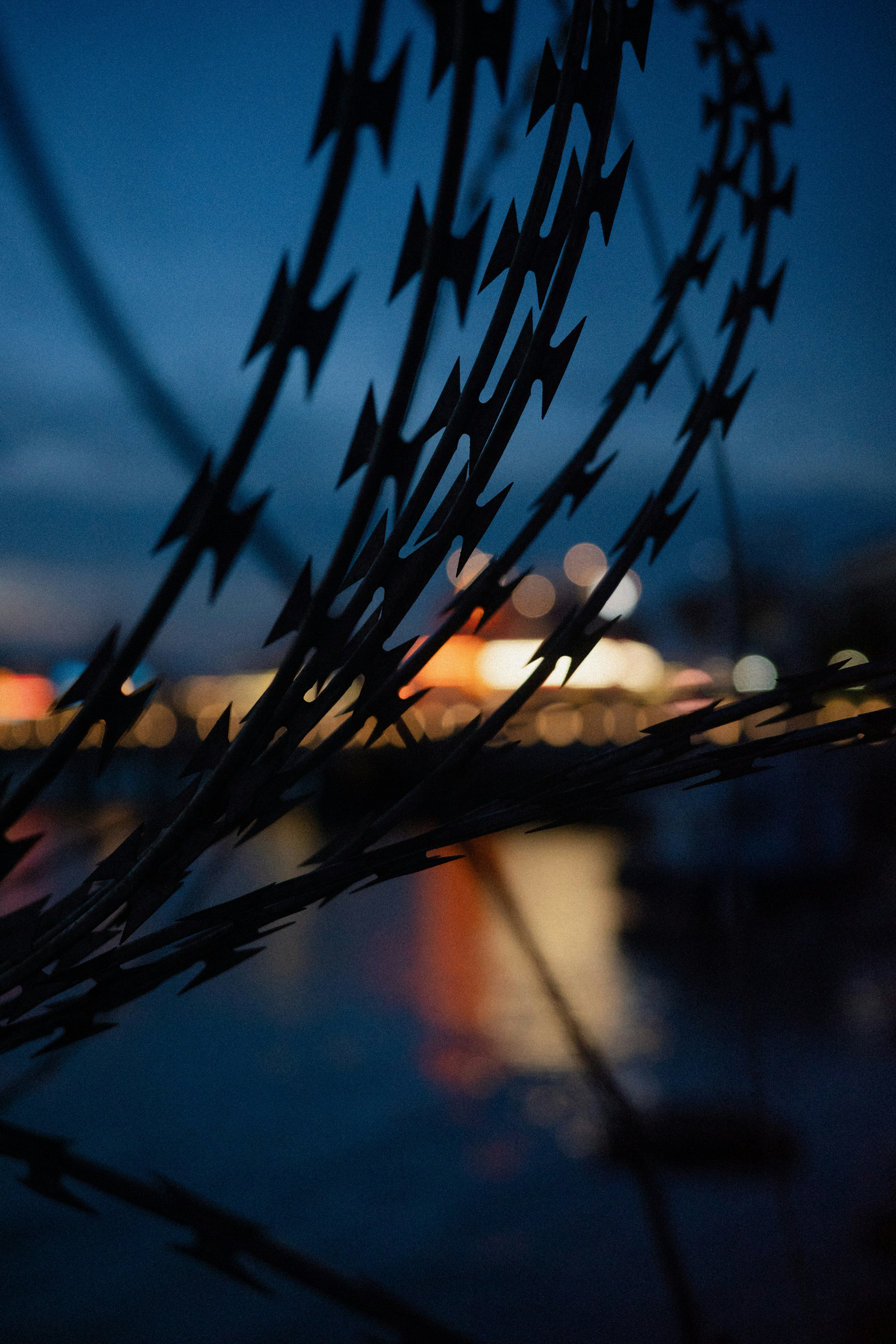 Barbed silhouettes in evening harbor lights