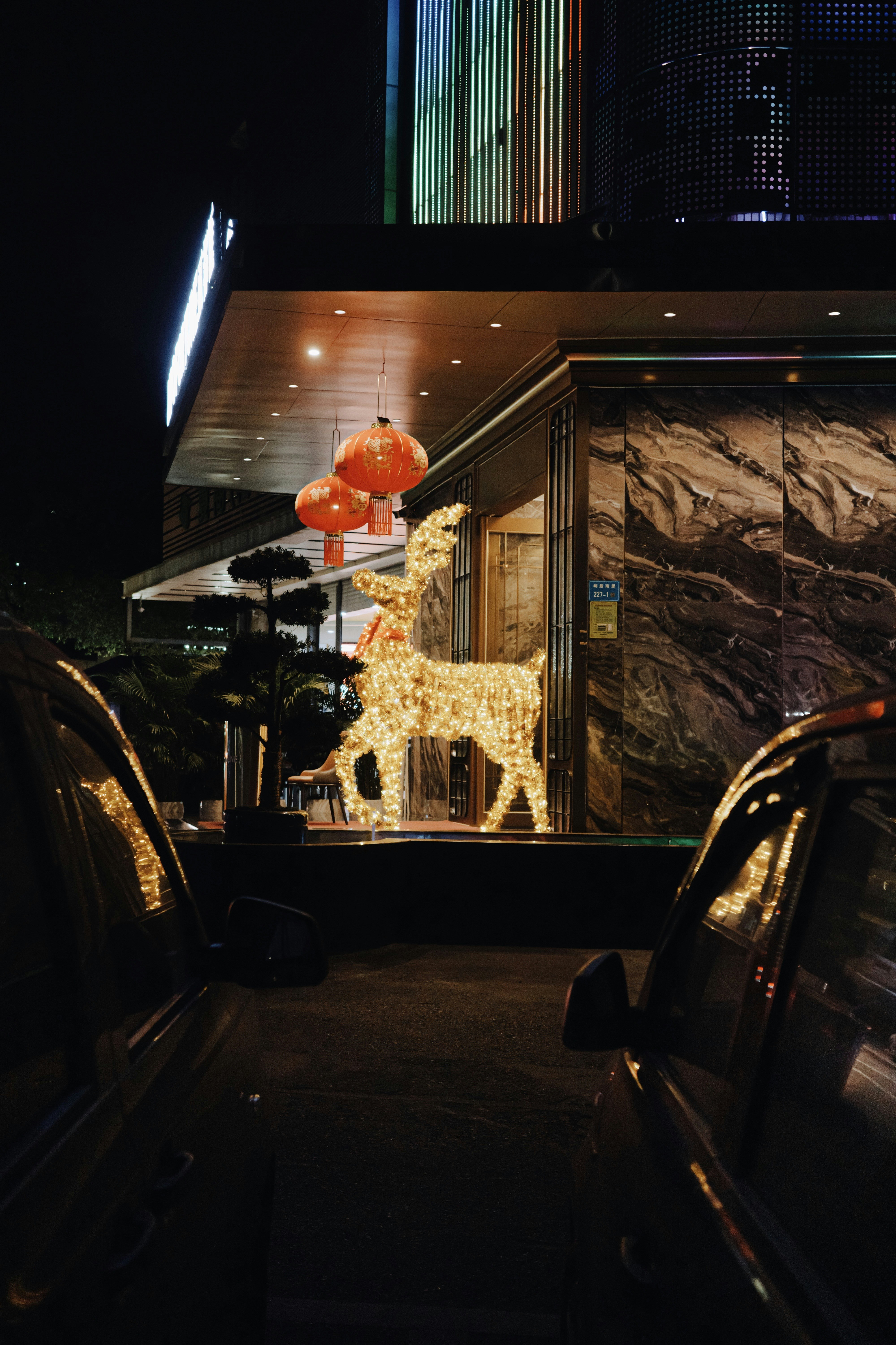 Glowing Reindeer at the Entrance