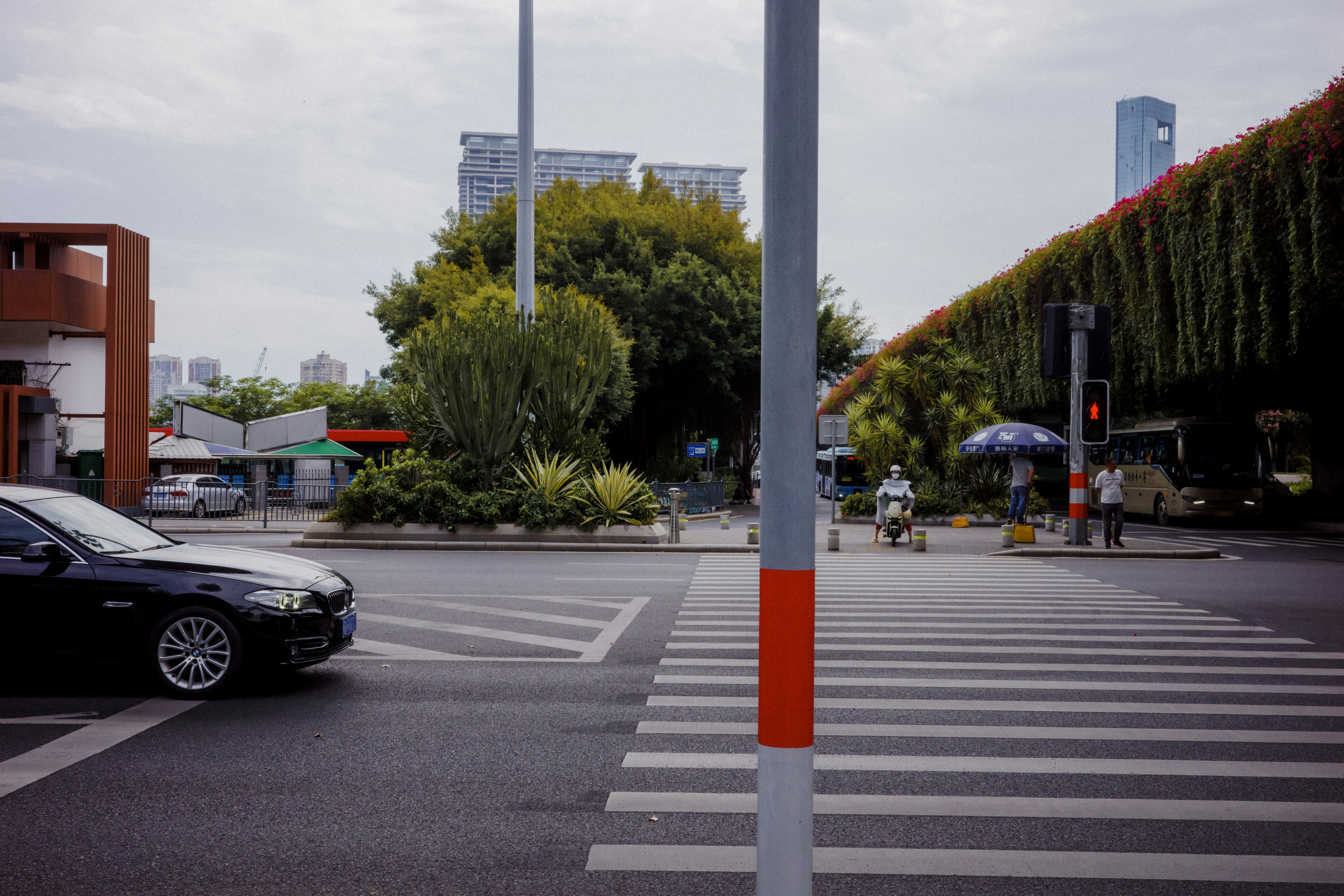 Crosswalk Convergence: Urban Life at Midday