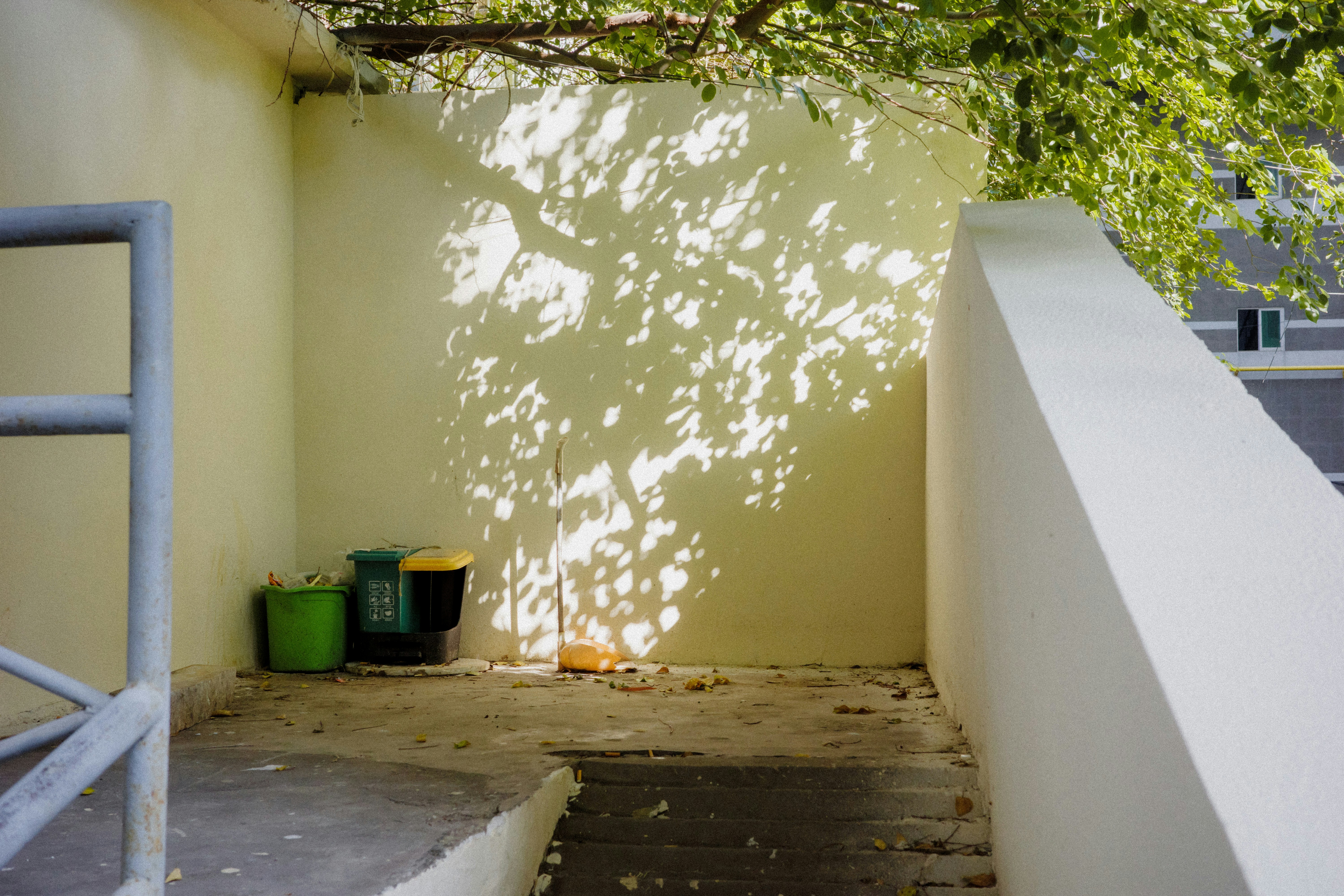 Sunlit Courtyard Shadows: A Quiet Corner with Green Buckets