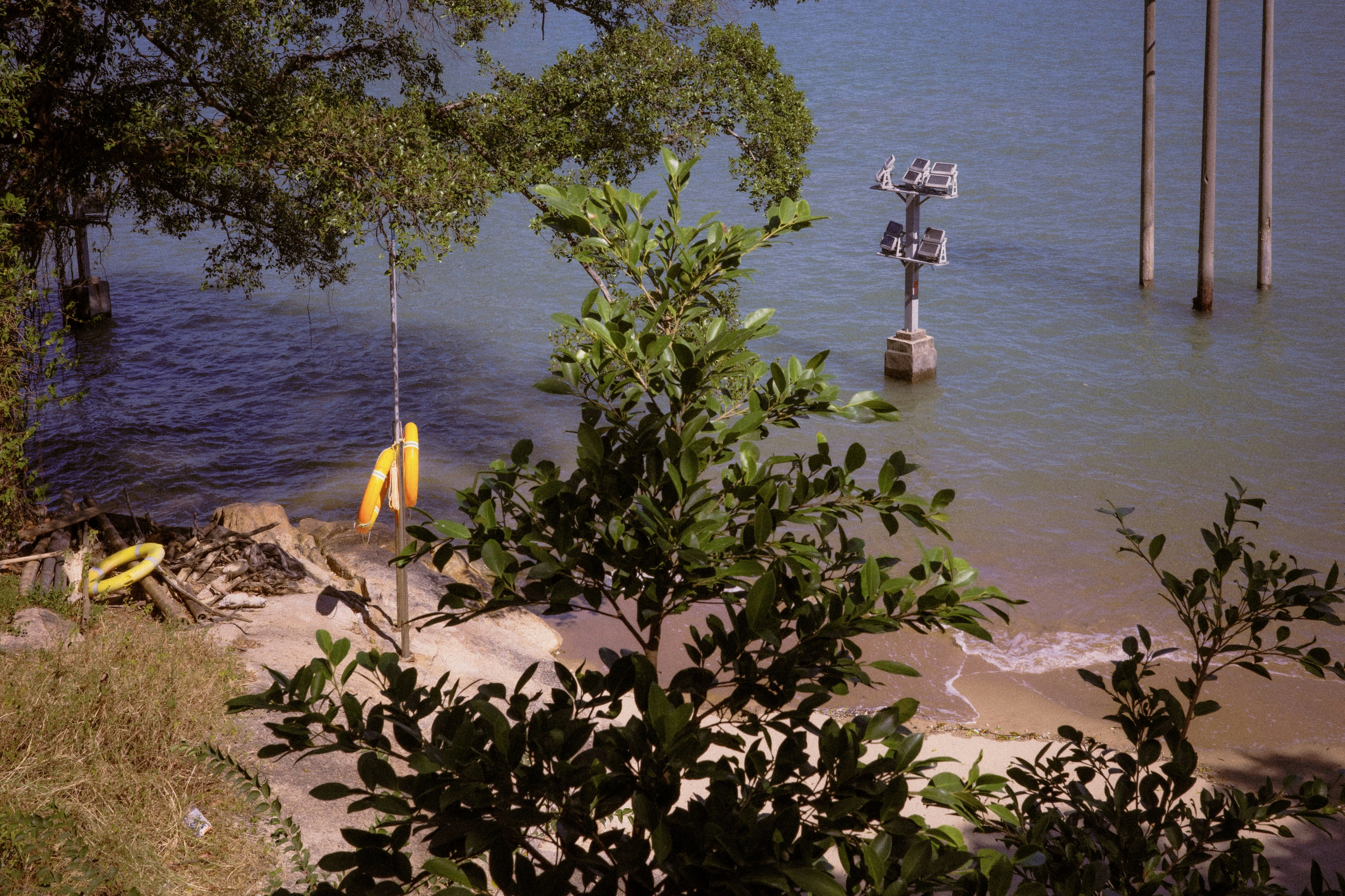 Lakeside Pier and Foliage: Quiet Waters by the Inner Shore