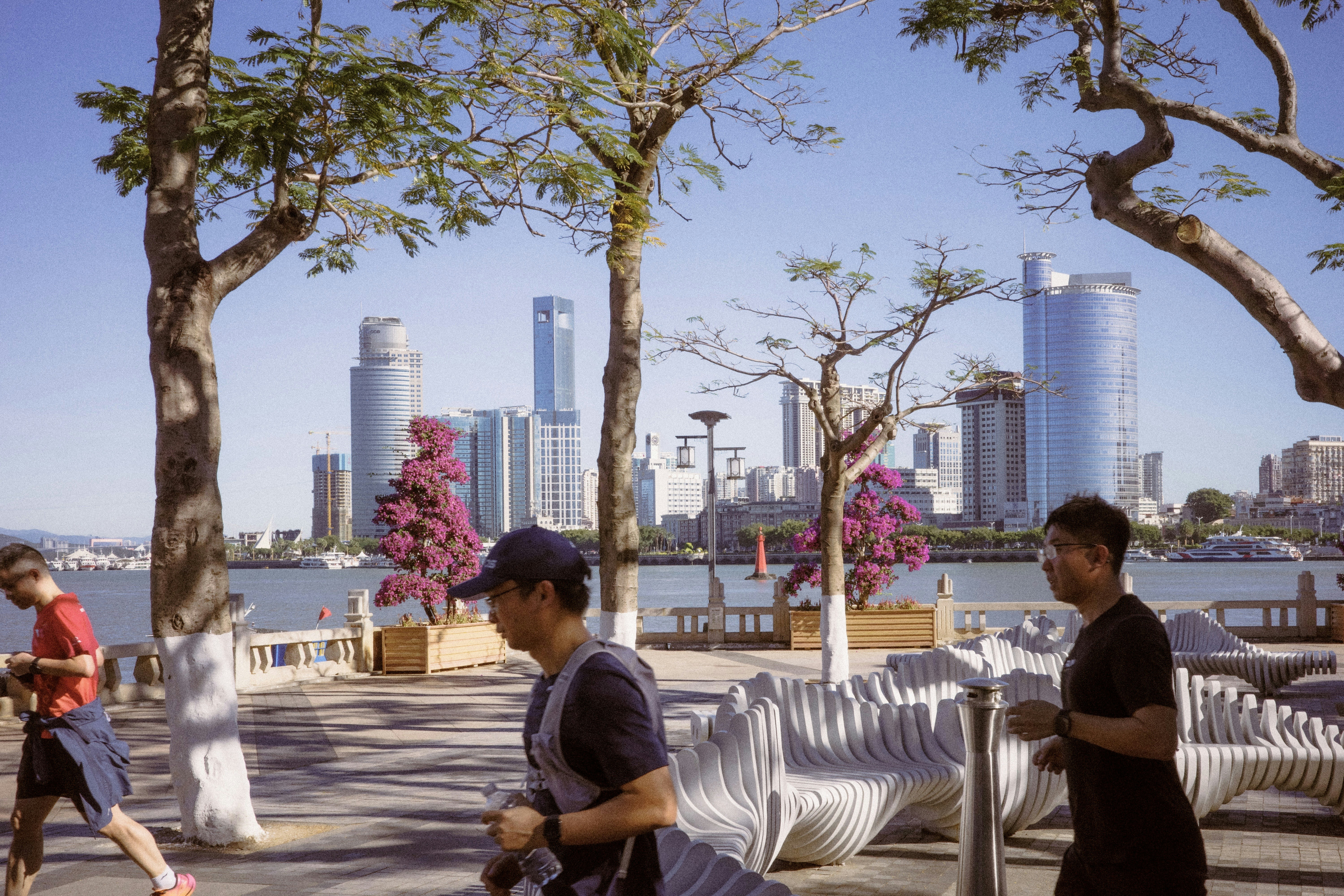Runners Along a Waterfront Promenade with an Urban Skyline