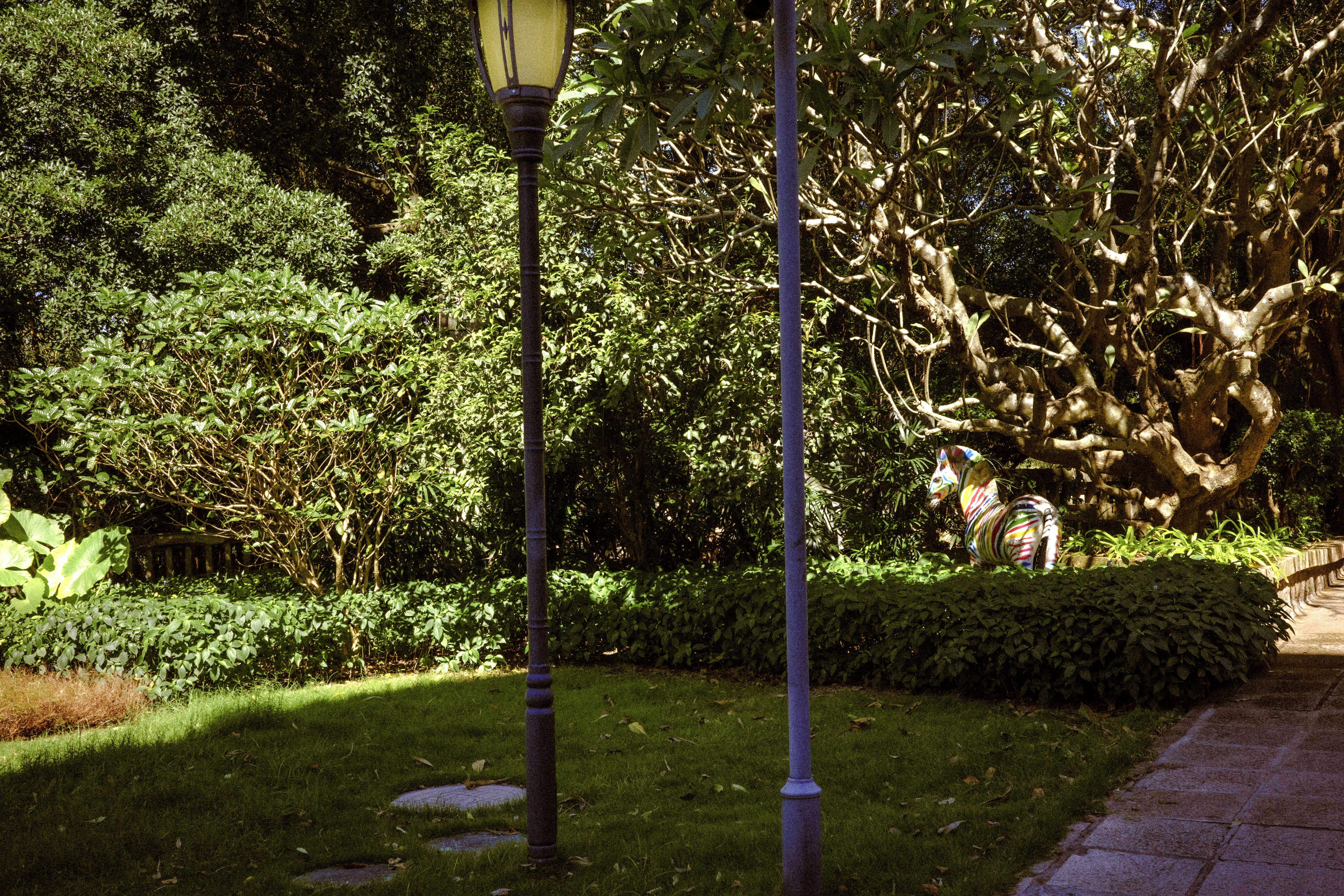 Two lampposts stand in a lush, sunlit garden.