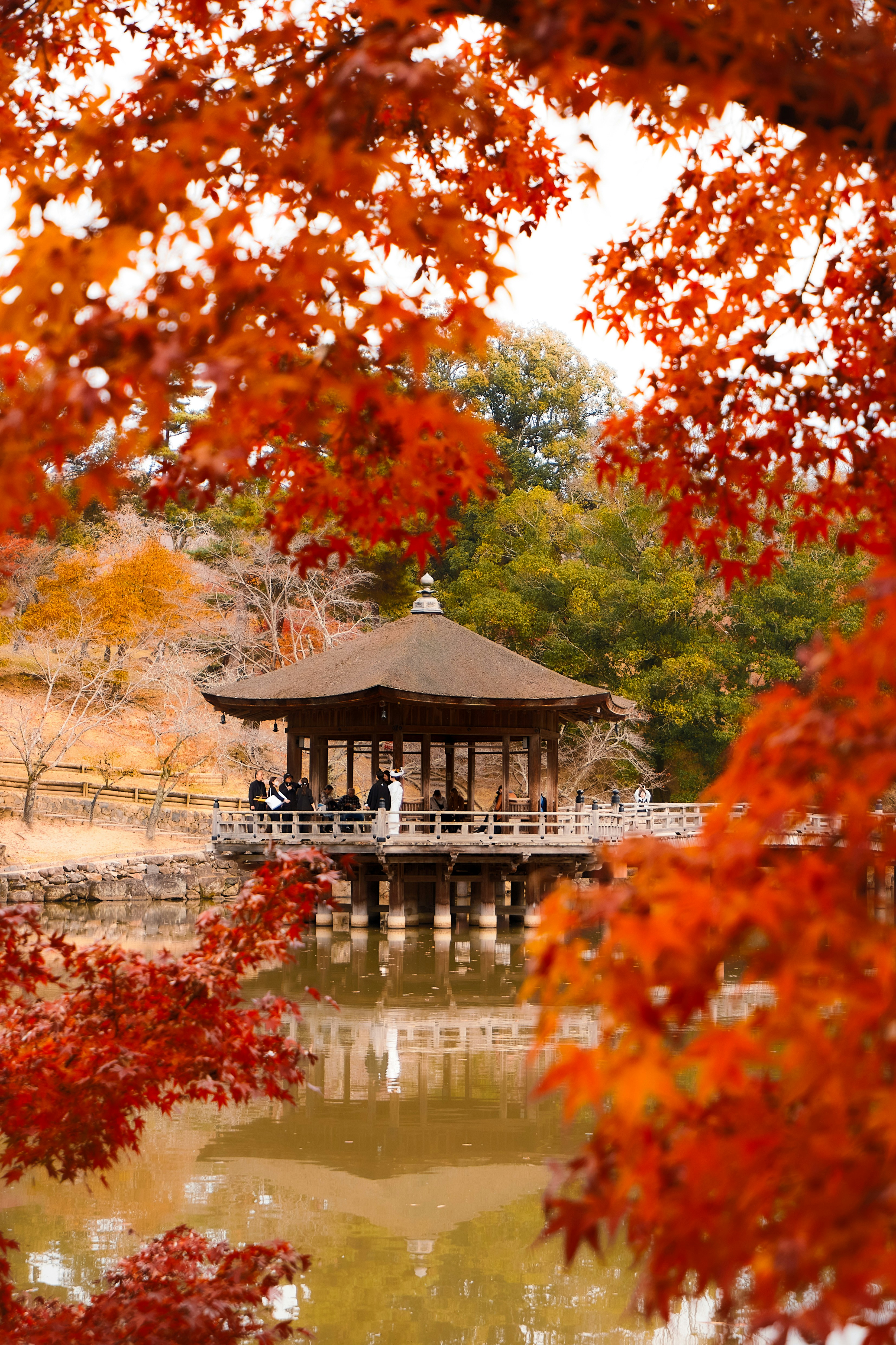 Autumn's Arch: A Lantern Pavilion Framed by Crimson Canopy