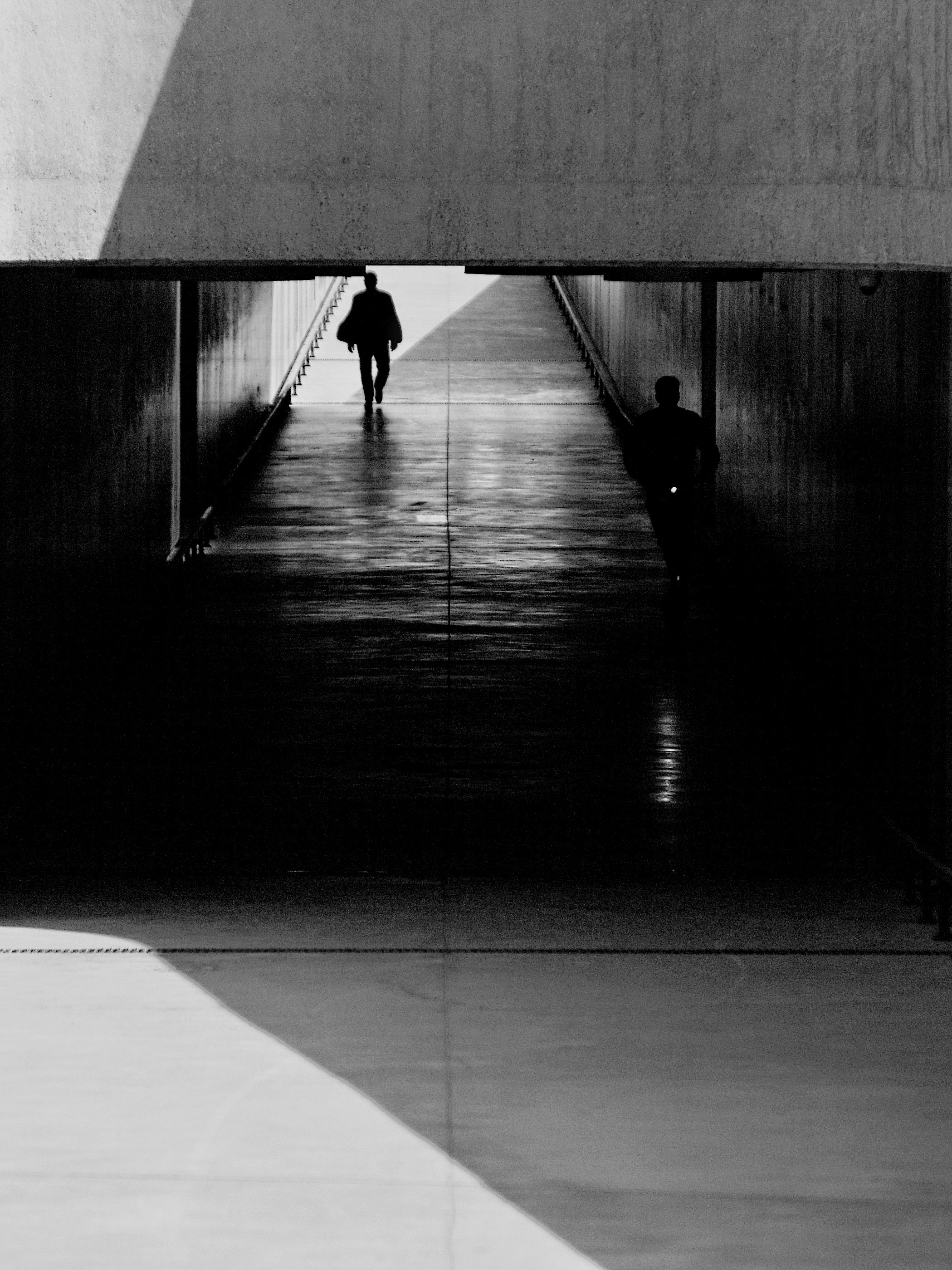 Silhouette Crossing: A Passengerless Corridor Toward Light