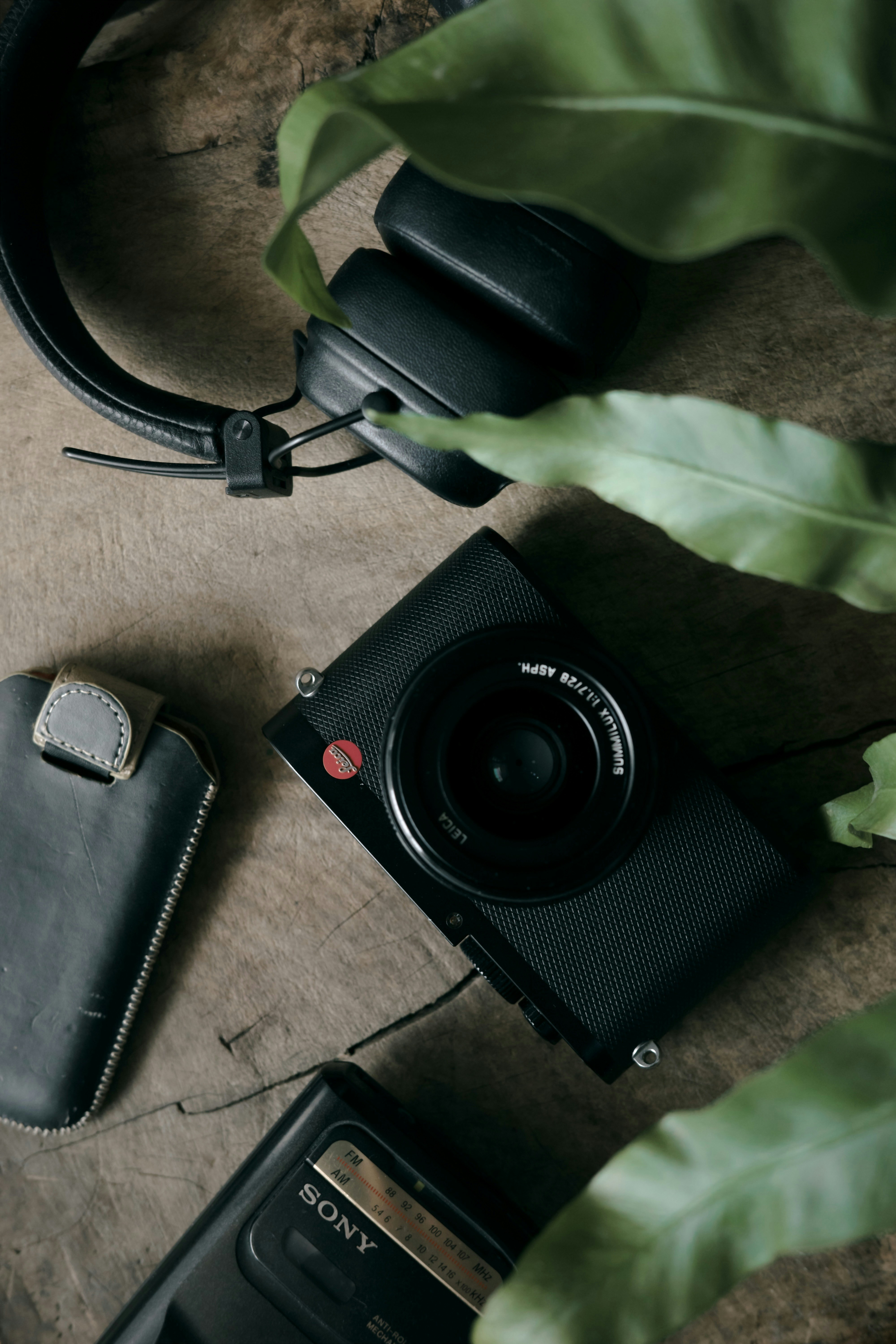 Black camera, headphones, and case on wooden surface.