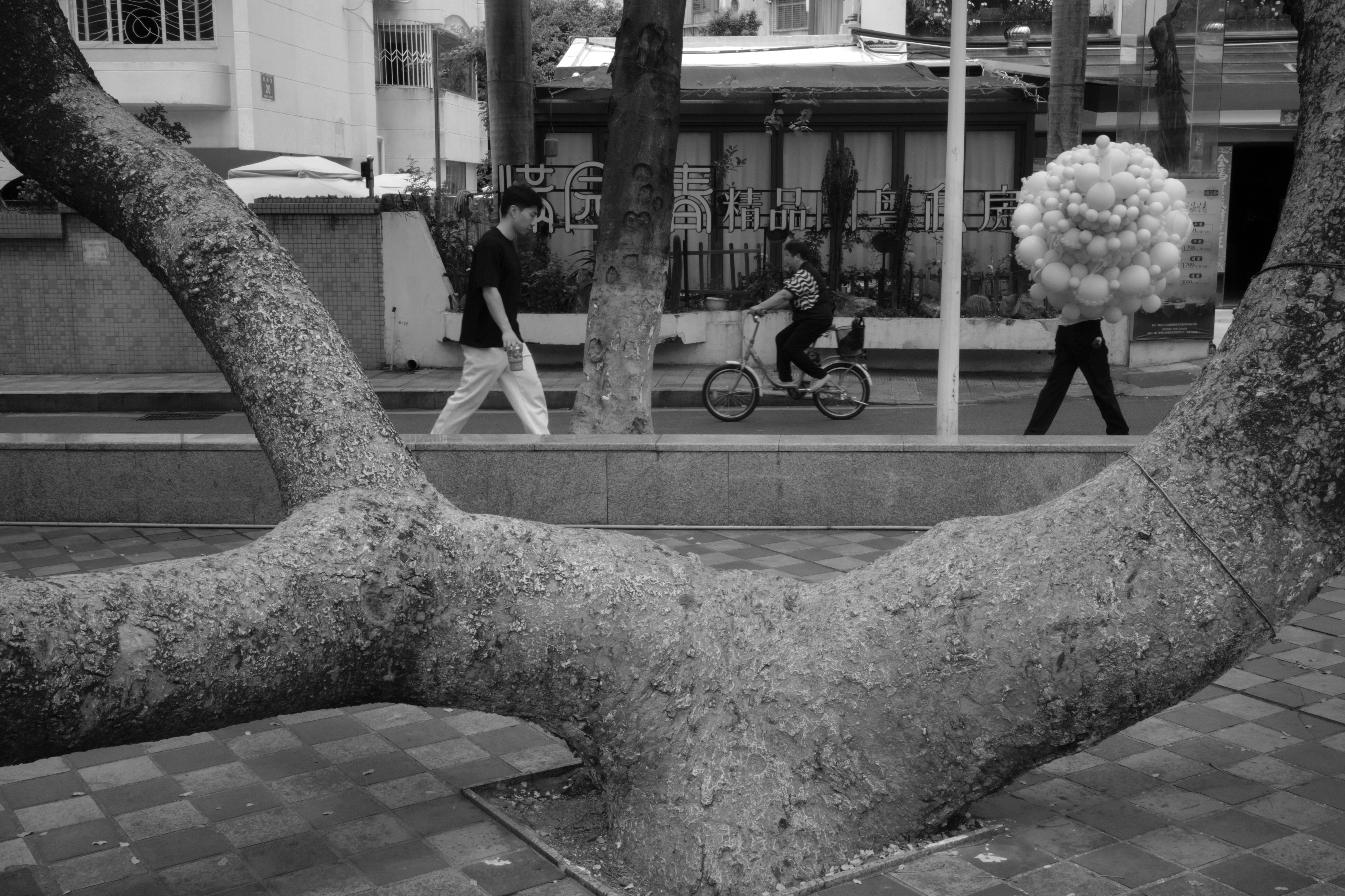 Bystanders in the Shade of a Giant Branch