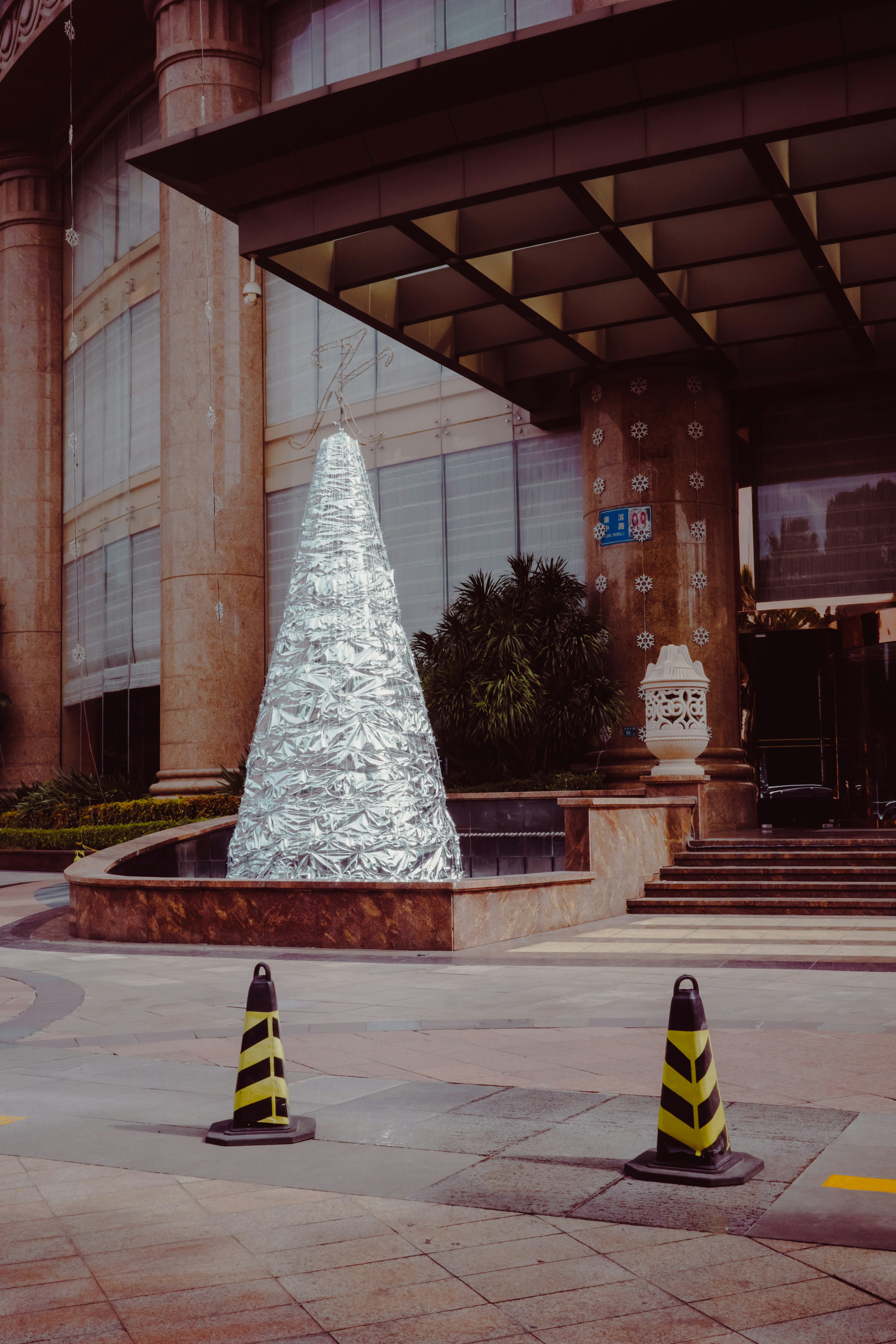 Glinting Cone Under Urban Canopy