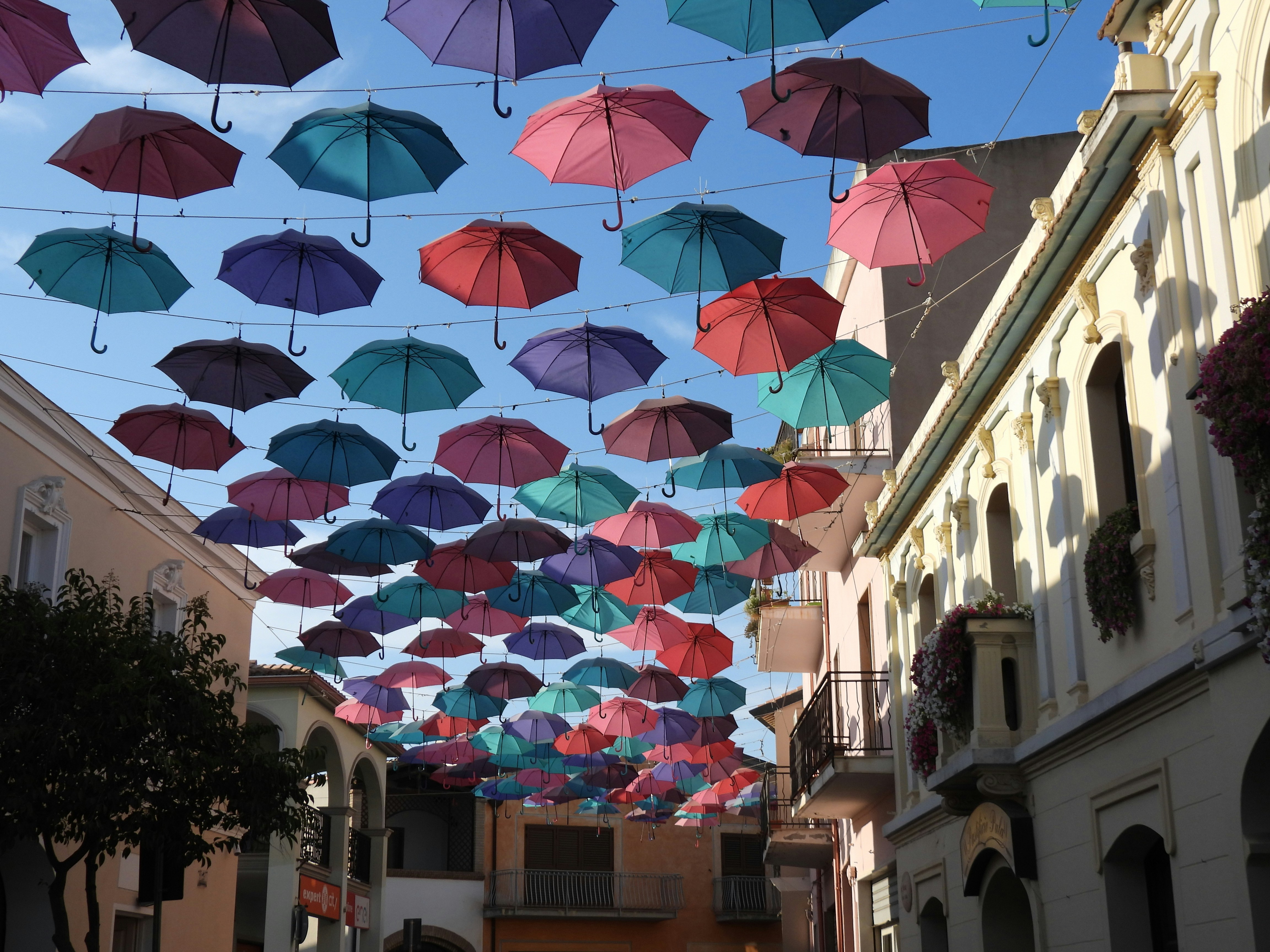 Colorful umbrellas suspended over a street