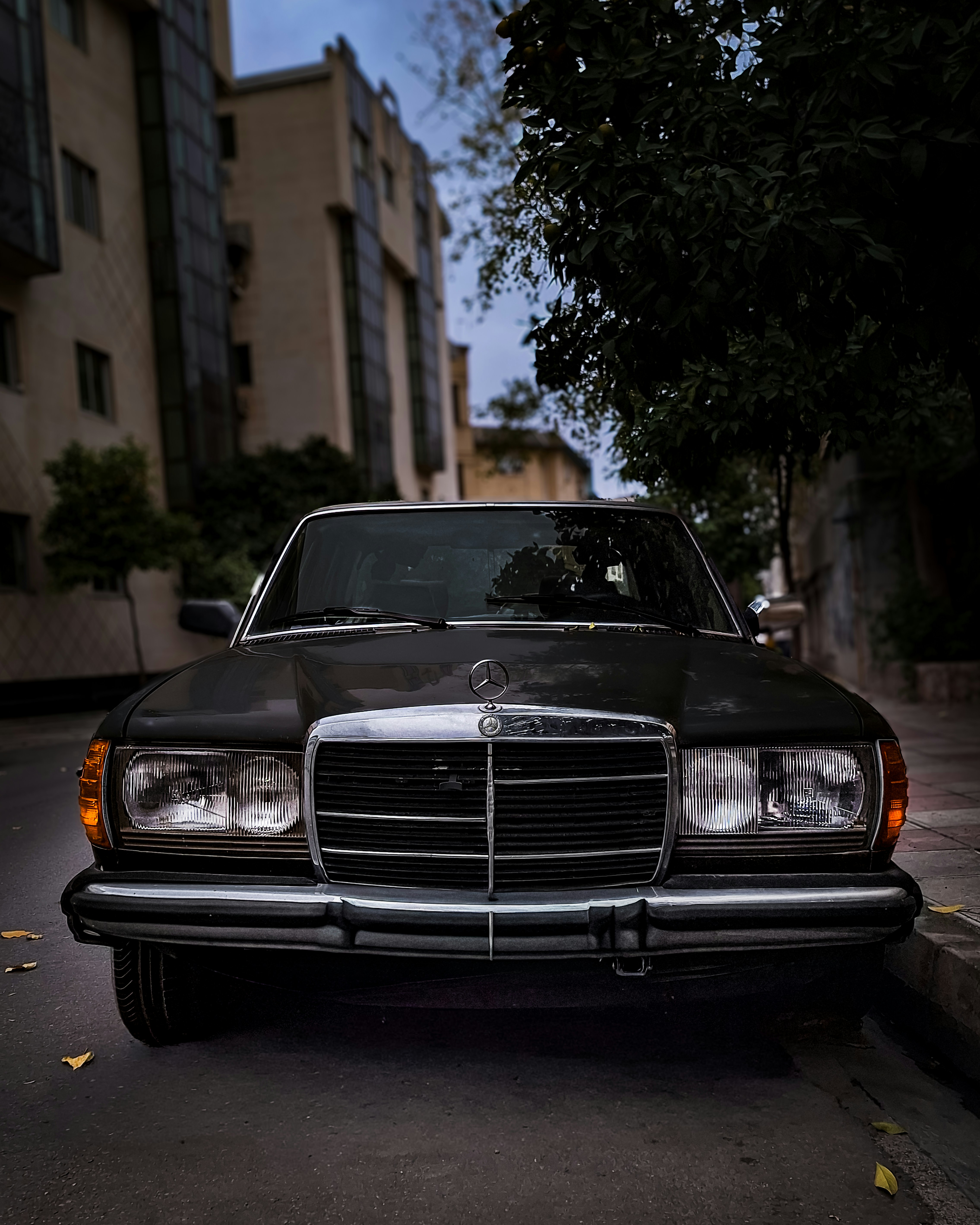 Front View of a Classic Mercedes in Urban Quiet
