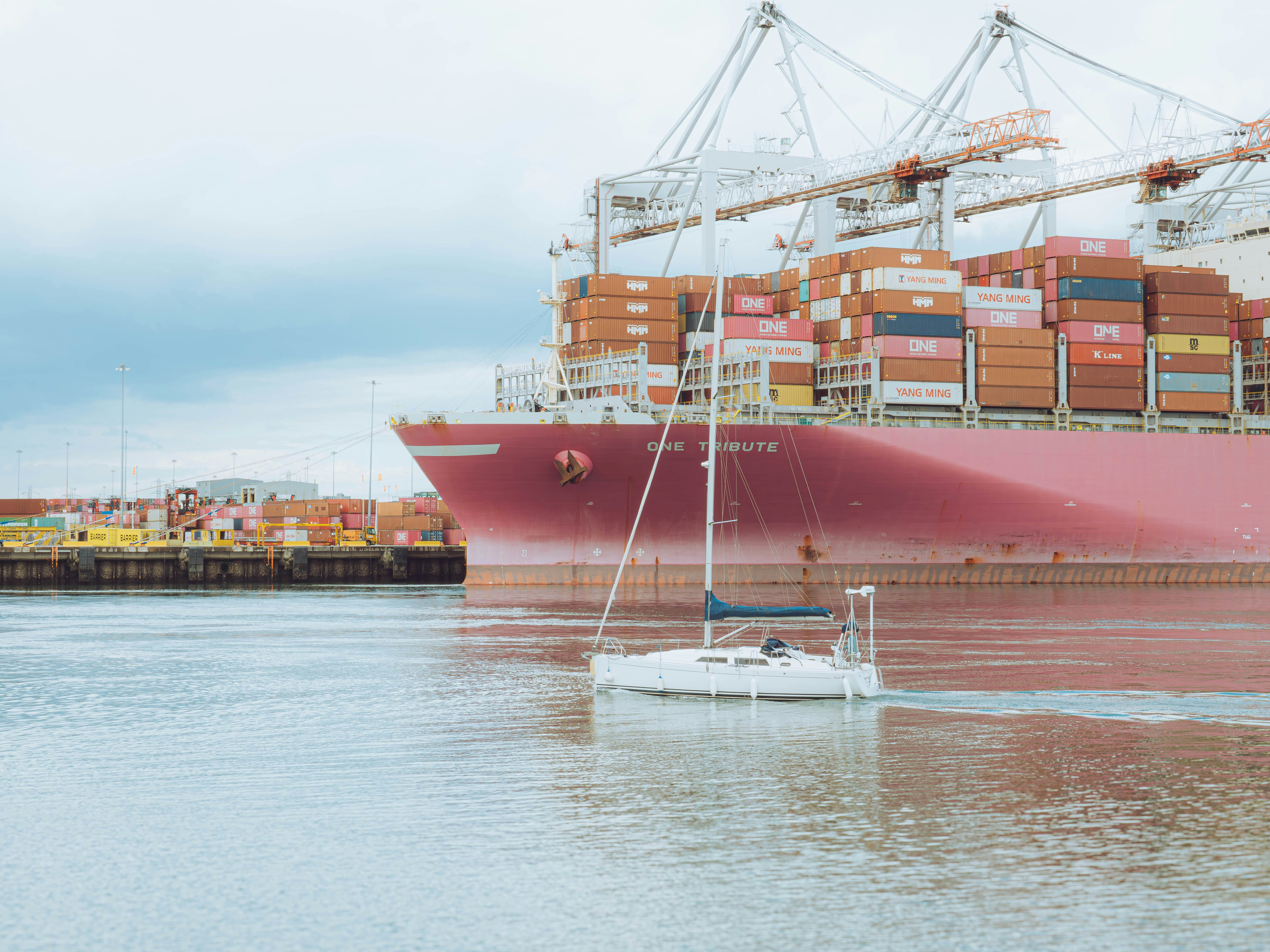 Harbor Vessel at Dawn: A White Sailboat Against a Distant Cargo Fleet