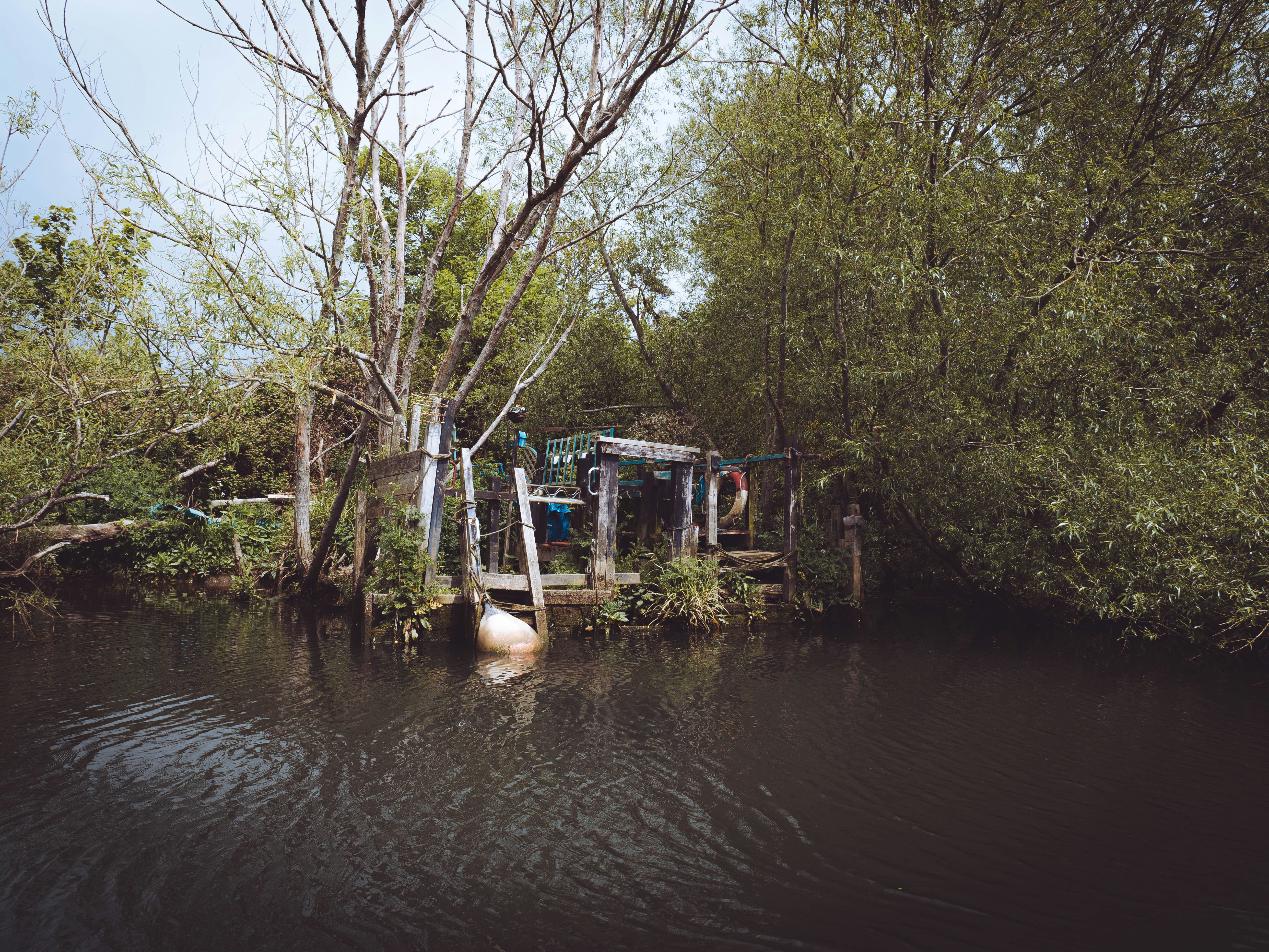Shoreline Village: A Quiet Riverside Clearing with Simple Docks