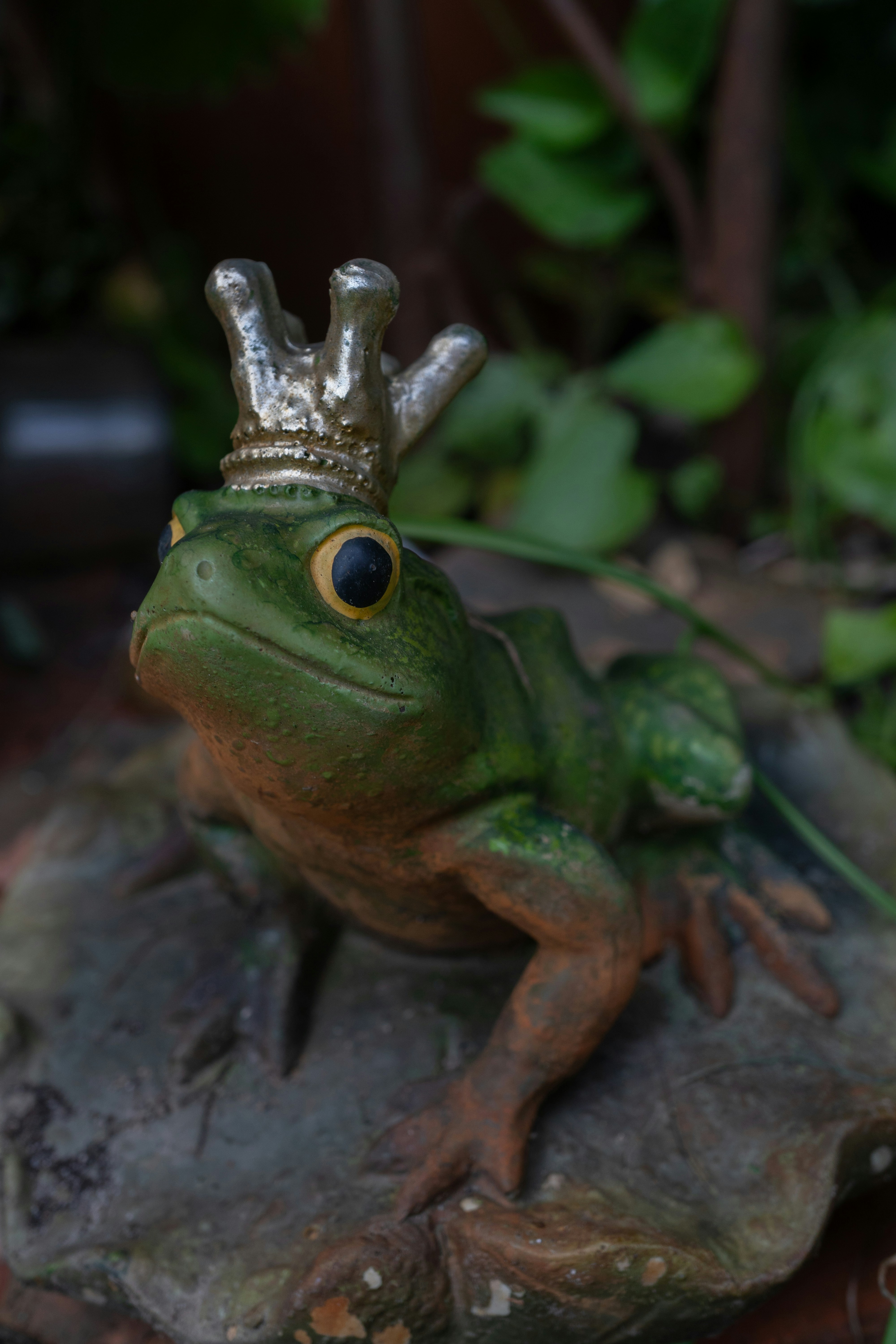 Regal Frog Prince Guarding a Mossy Perch