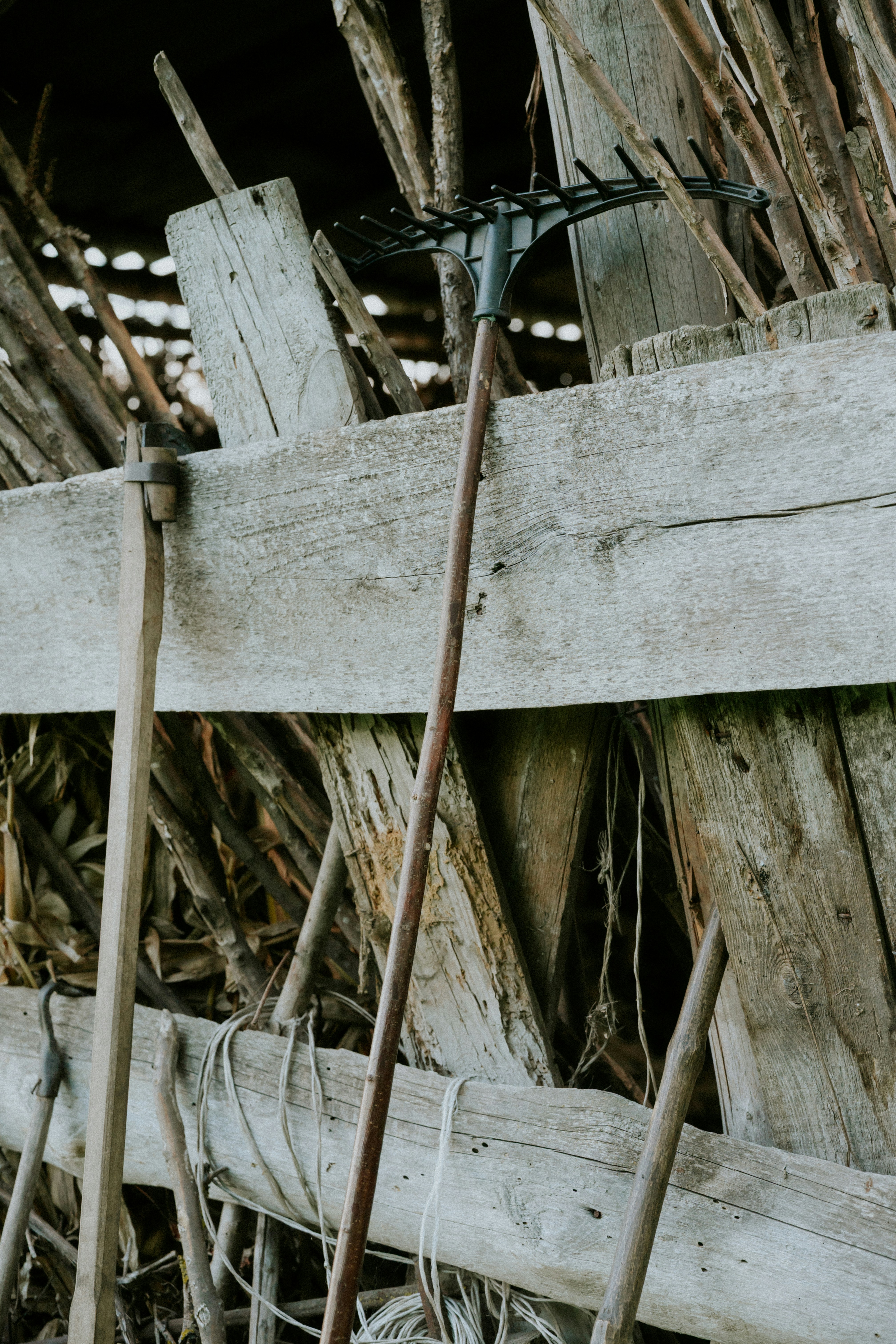 Weathered Farmyard Tines and Rake against a Silhouette of Weathered Wood
