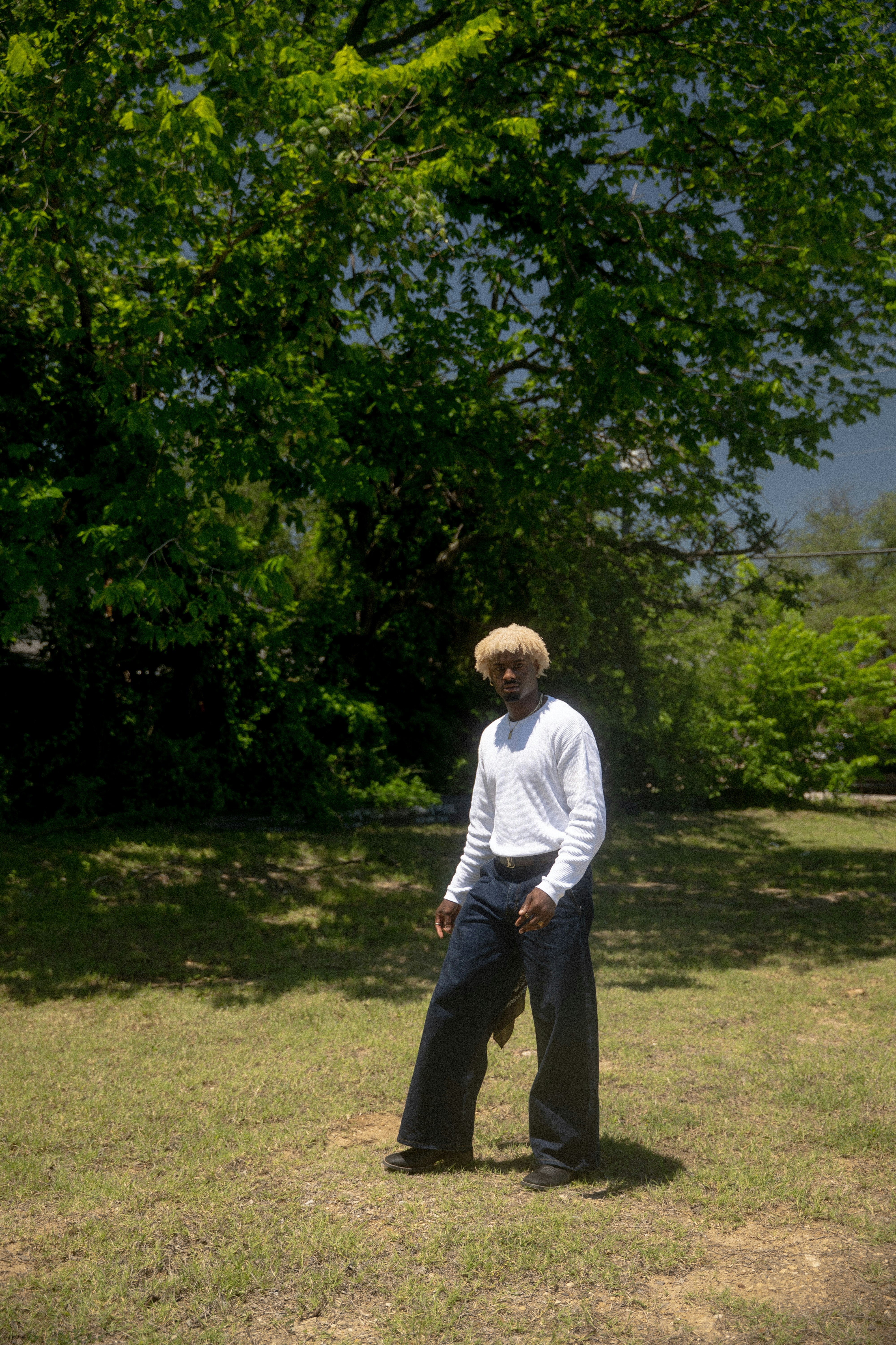 Charleston in the Sun: A lone figure strides across sunlit grass