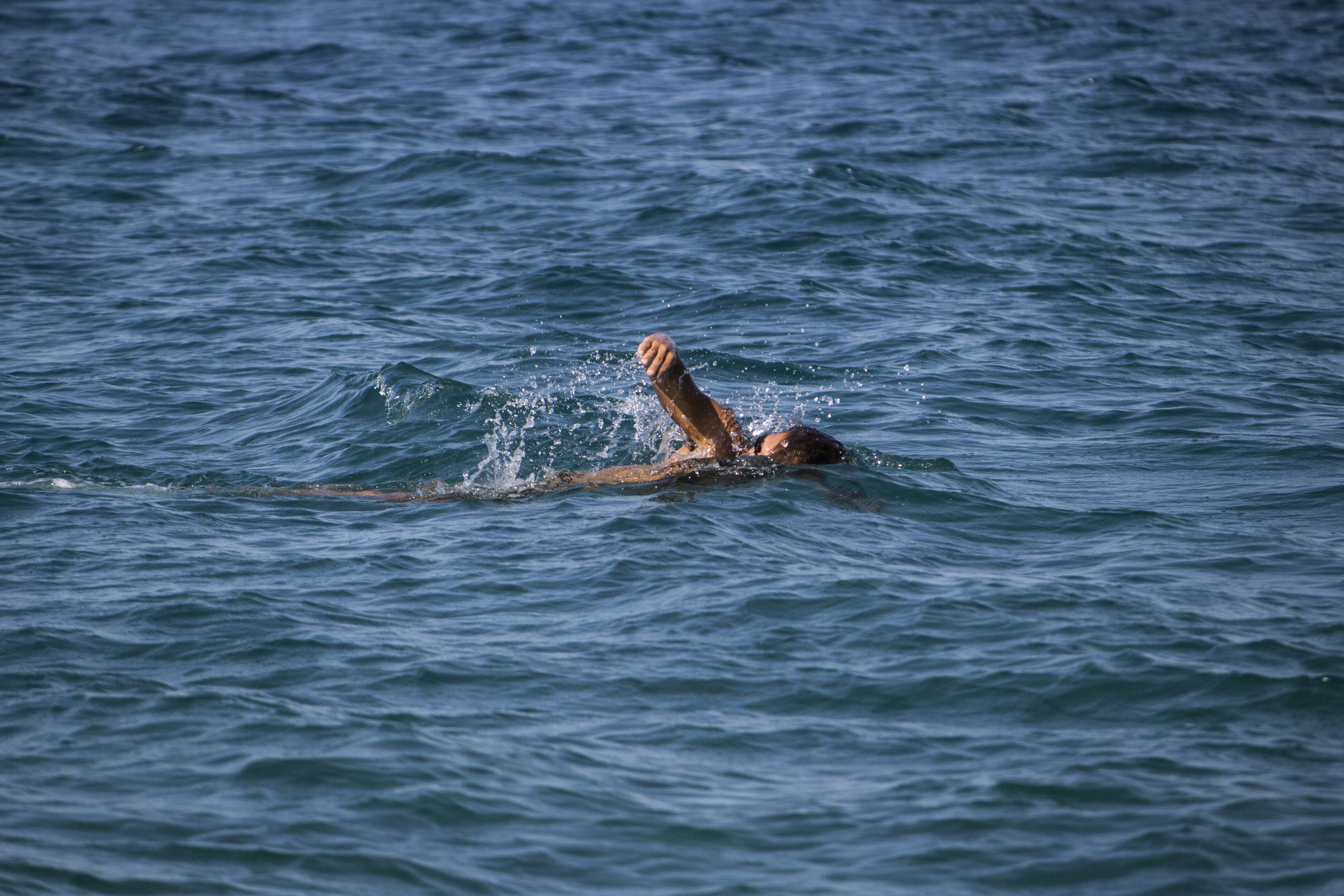 Mid-Sea Pulse: A Glimpse of Stride and Spray