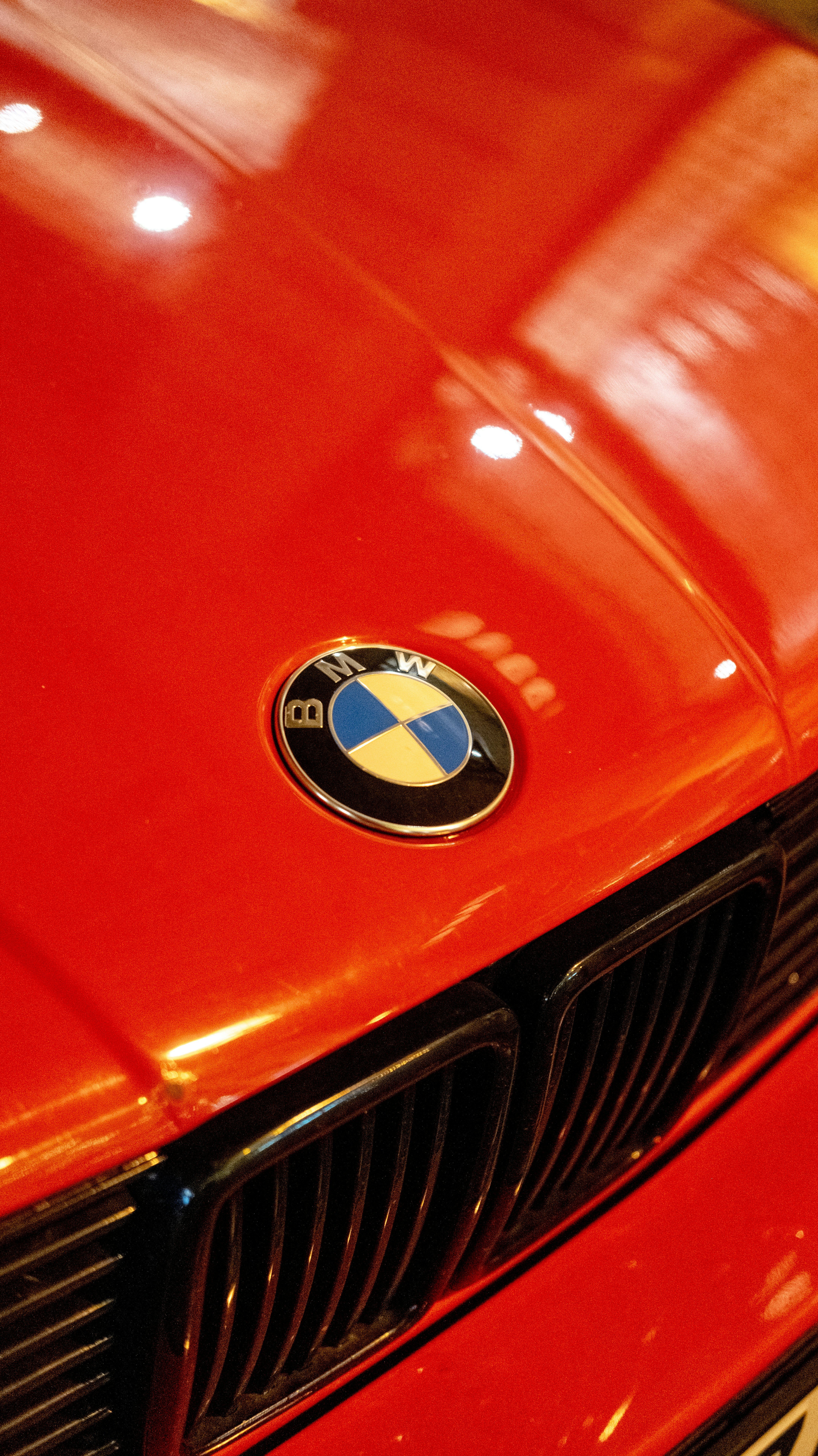 Red BMW Hood Glint: The Emblem and Grille in Focus