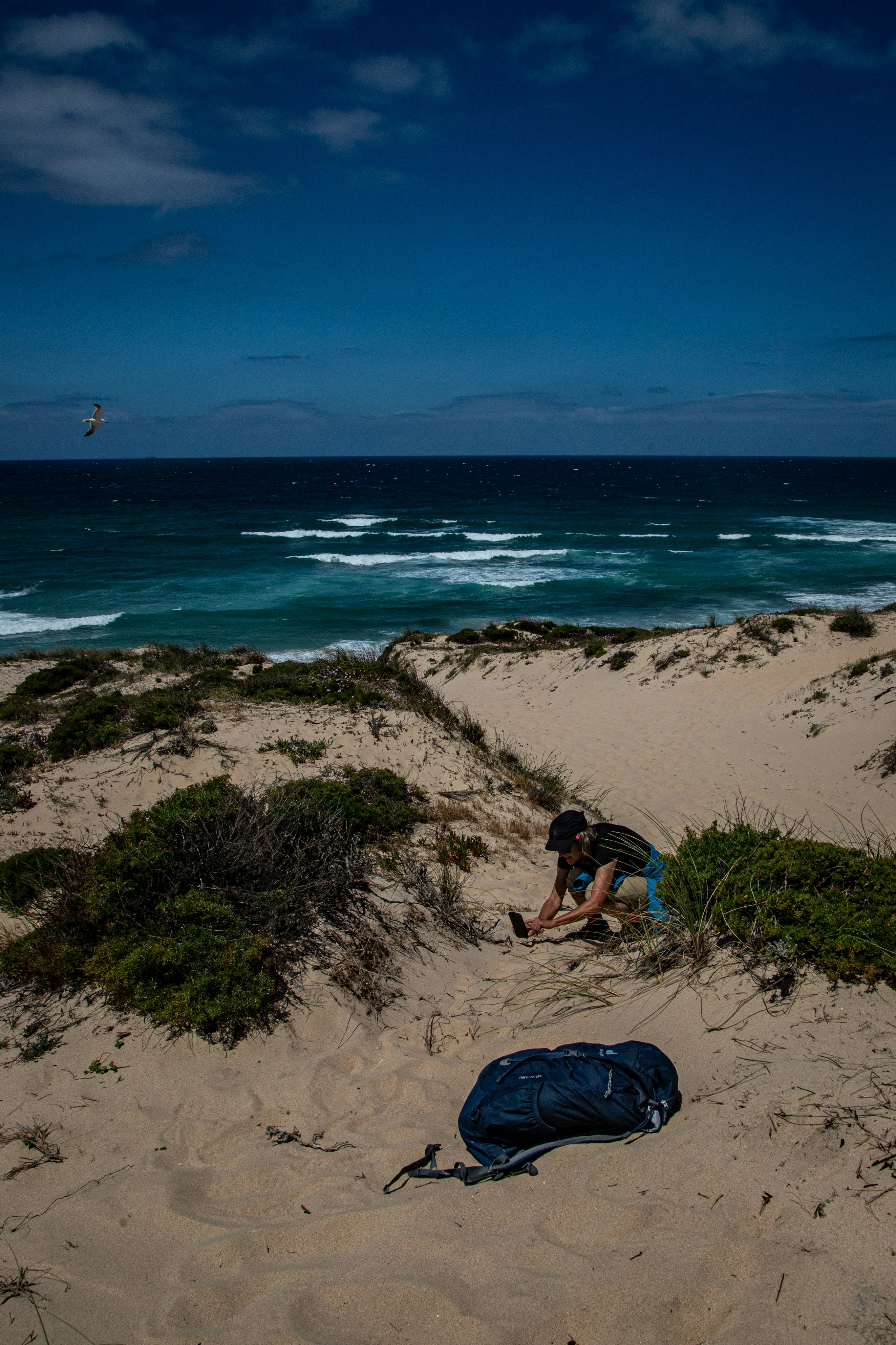 Coastal Dunes at Dusk: A Secluded Moment by the Sea