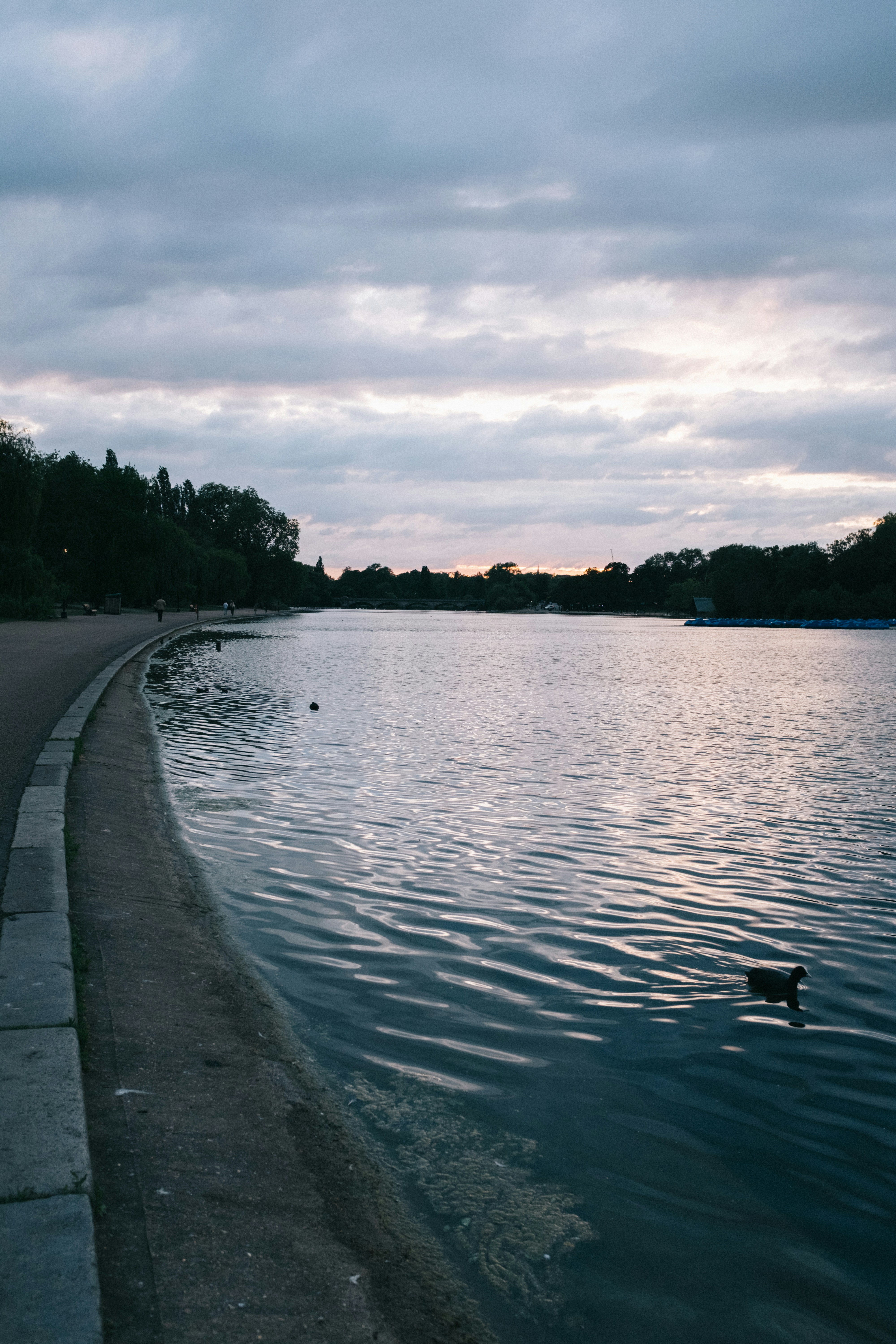 Twilight Esplanade: Quiet Promenade by the Lake