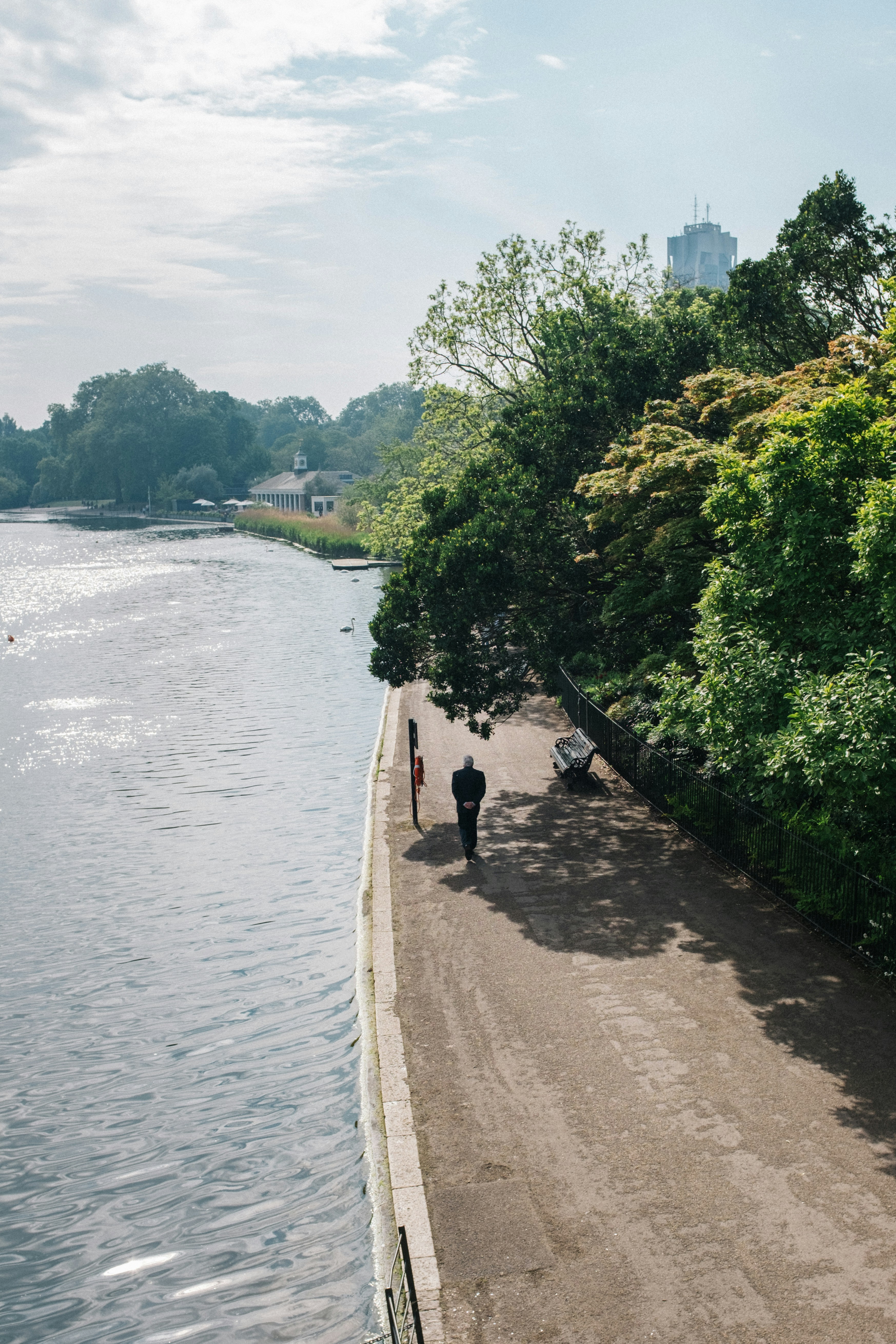 A Quiet Riverside Promenade: Shadows, Trees, and a Lone Walker