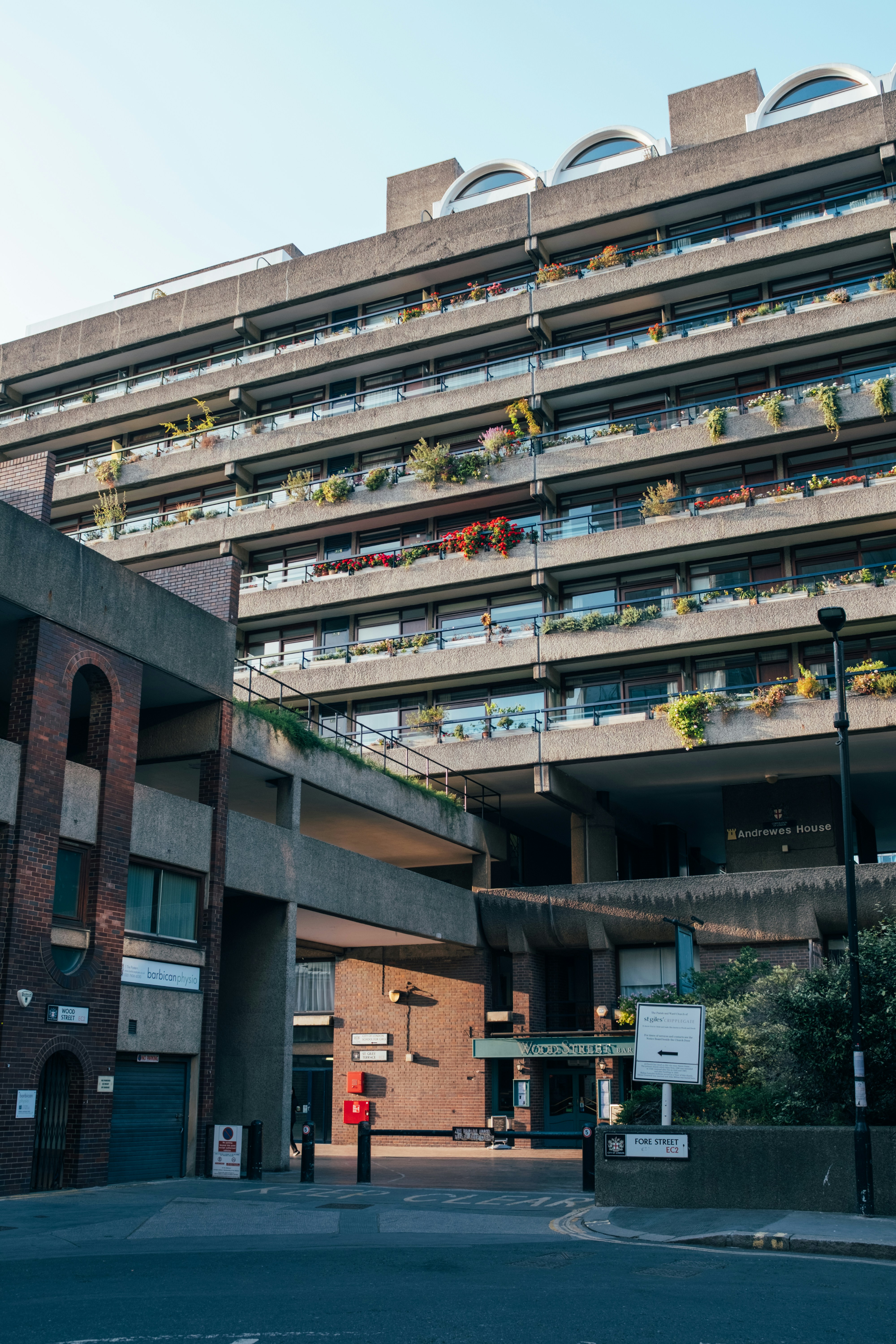 Urban Terrace: A Concrete Garden Clad in Morning Light