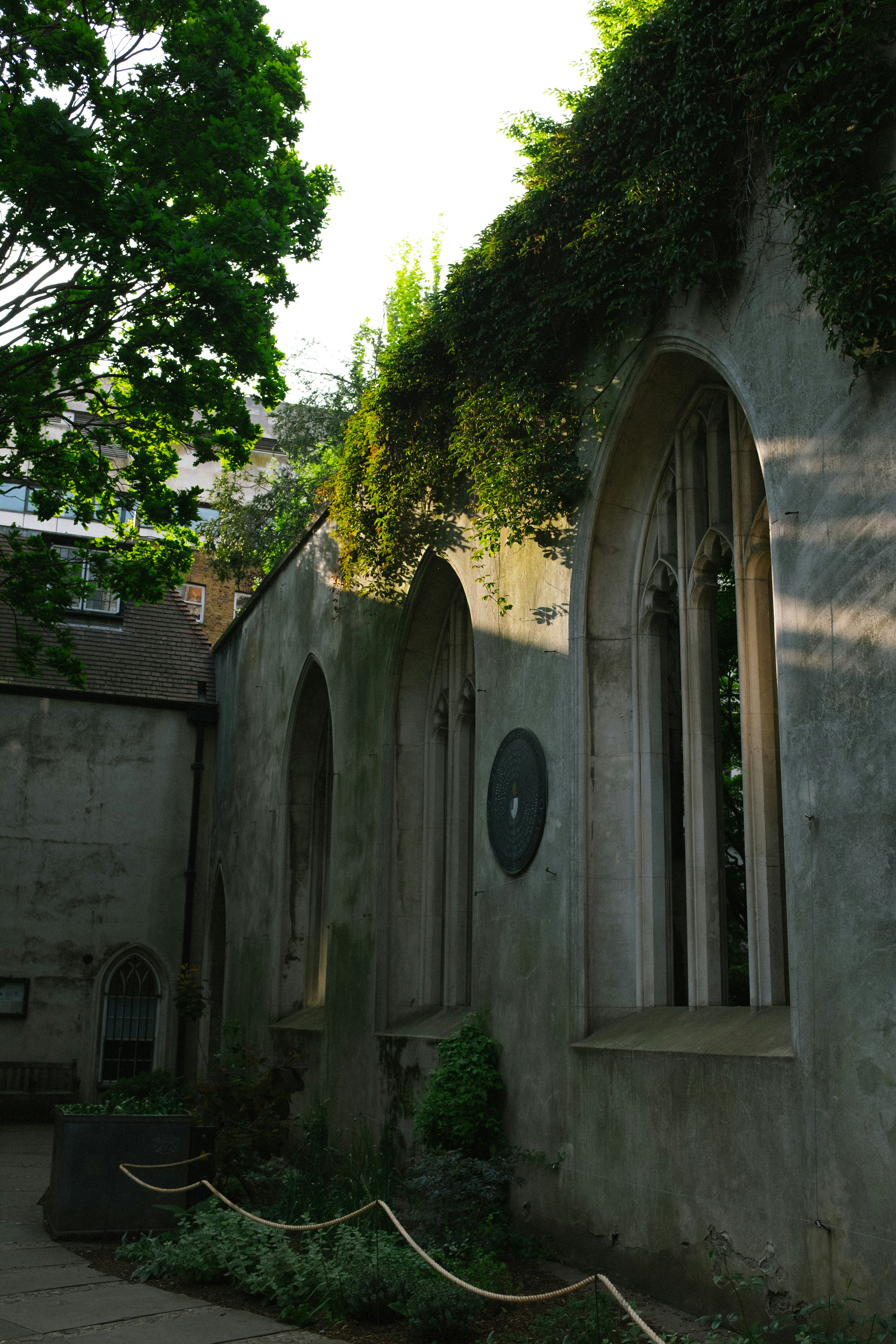 Arched Gothic Windows and Ivy at Dusk