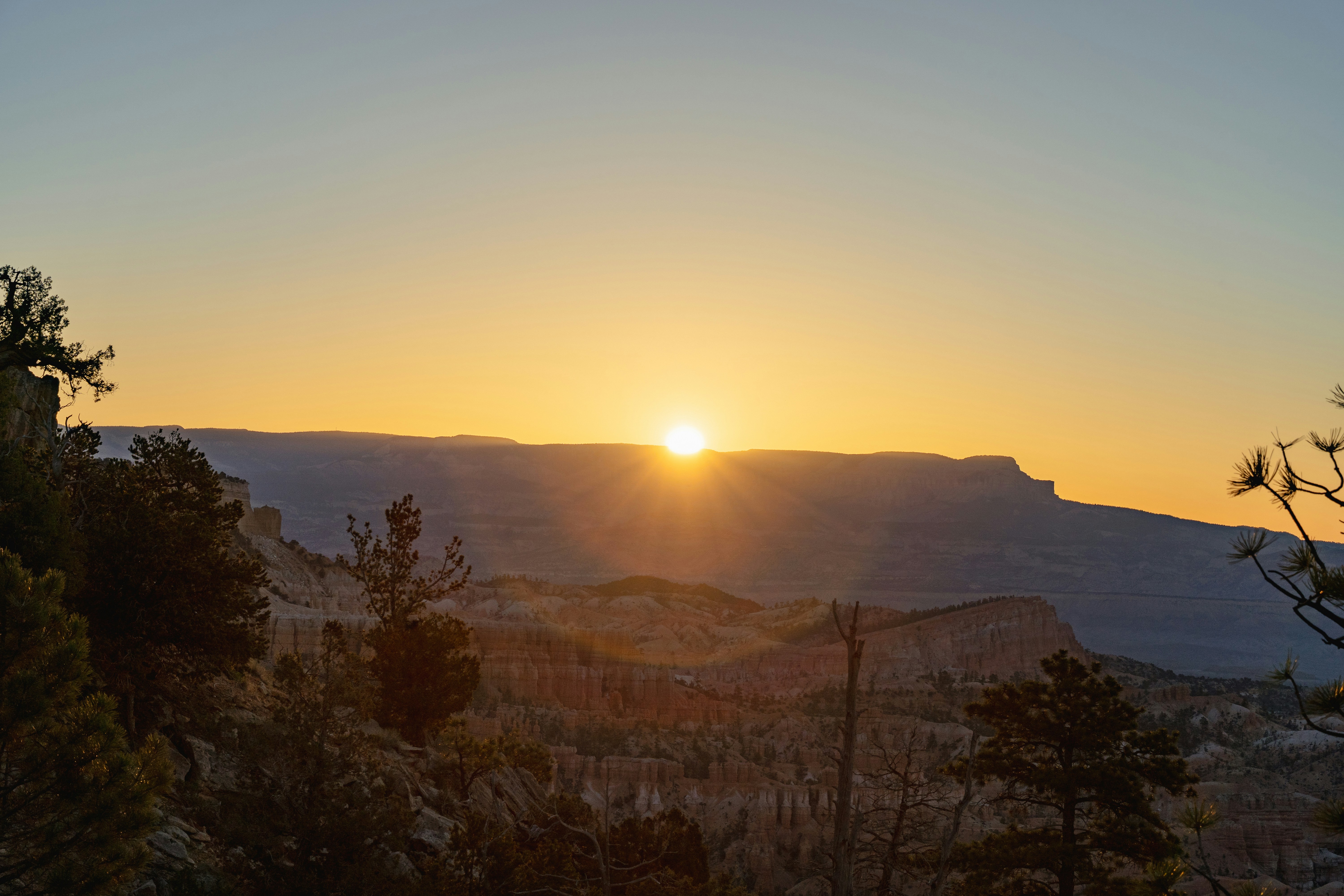 Sunrise Over the Mesa: Quiet Horizon Above the Canyon Forest