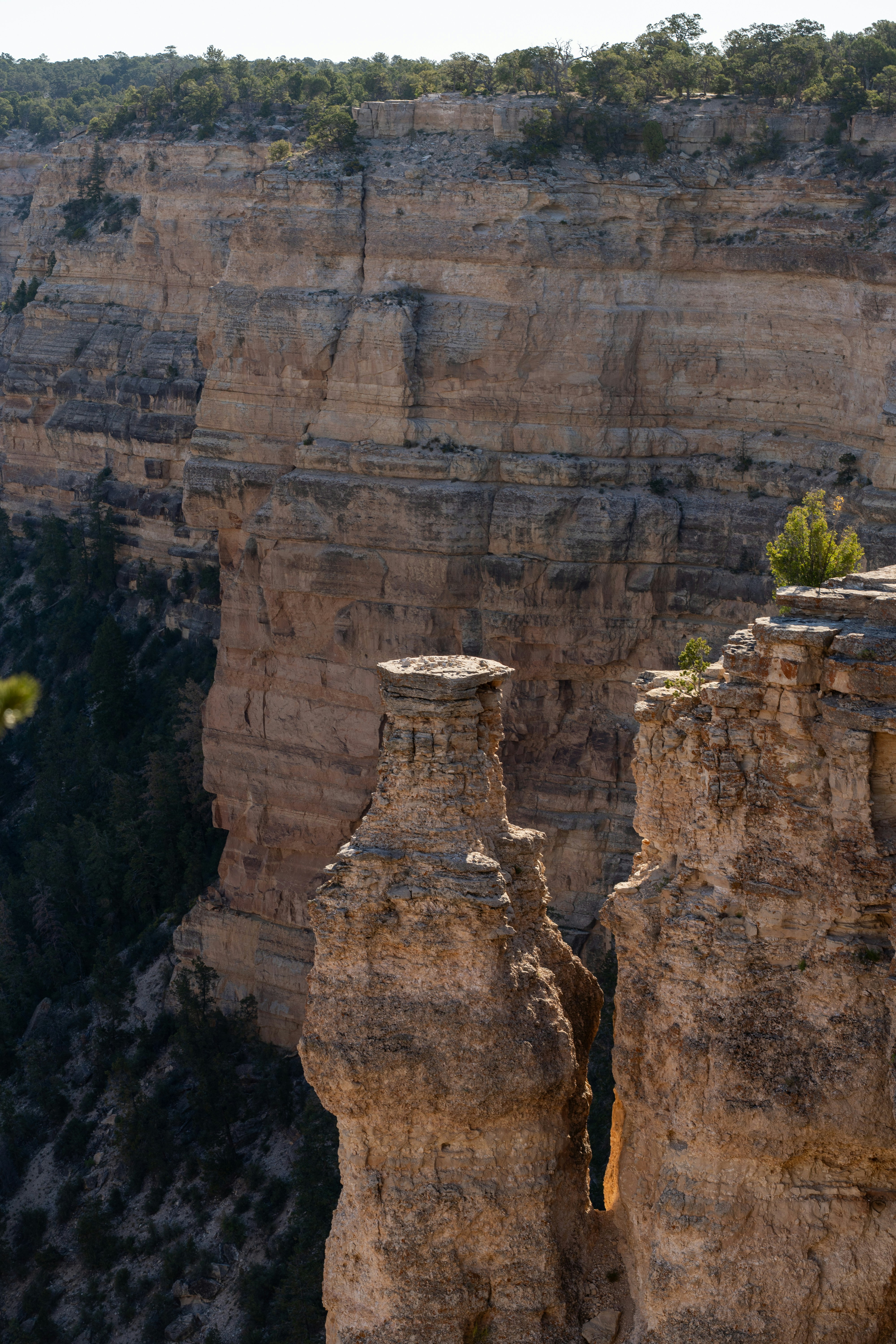 Stone Guardians at the Canyon Edge
