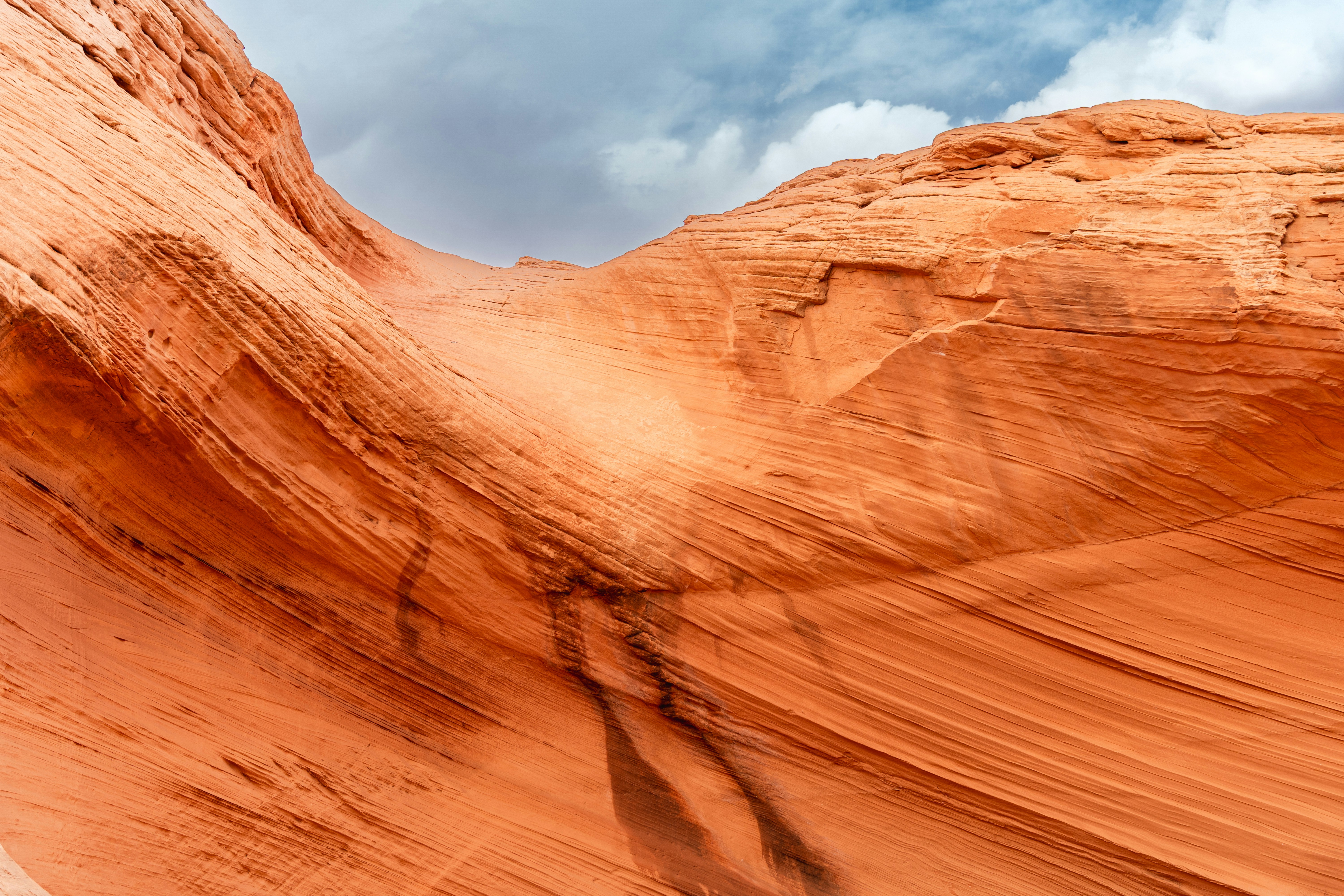 Echoes of Red Sands: Wind-Worn Curves in an Open Canyon