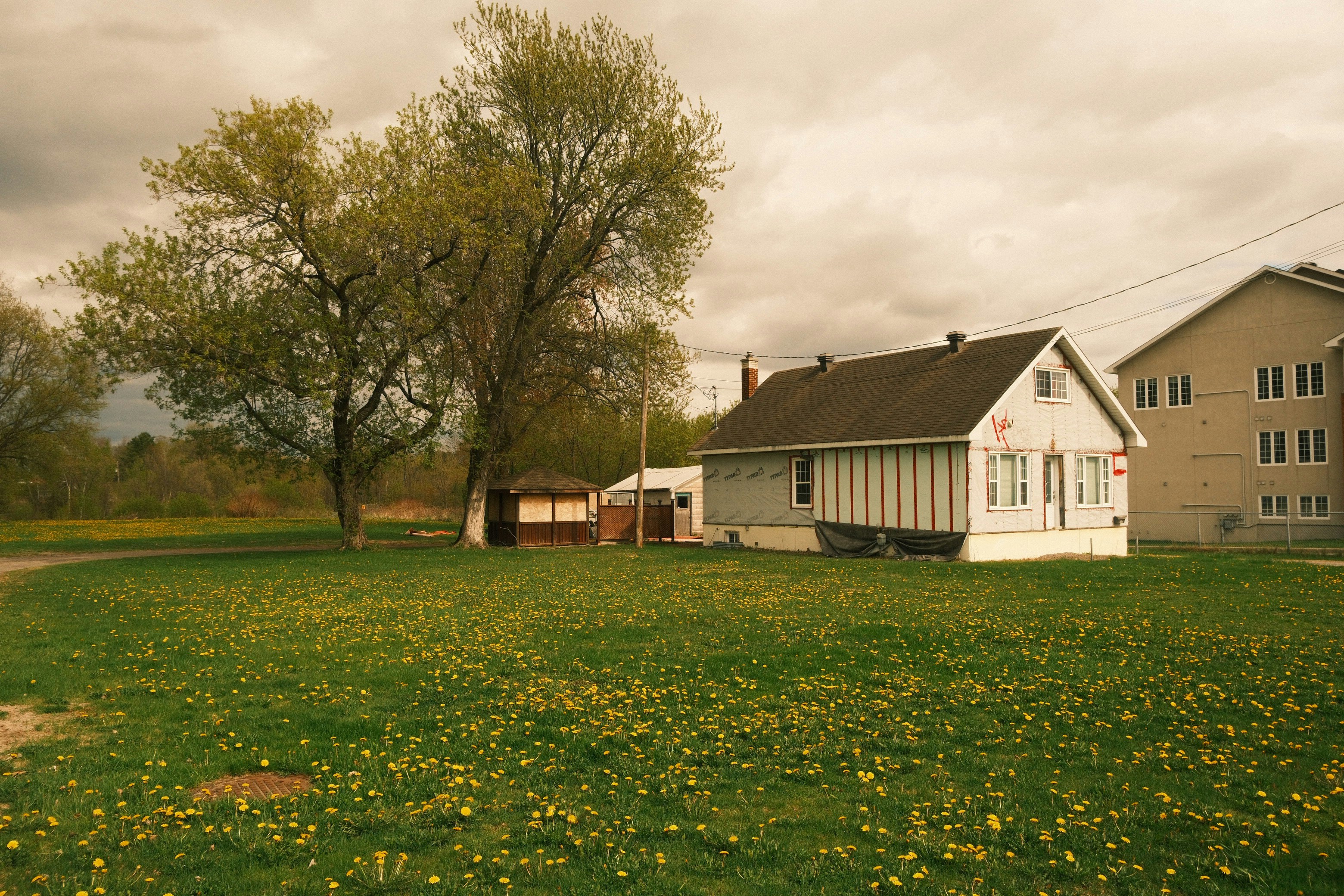 Pasture Echoes: A Quiet Farm By the Distant House