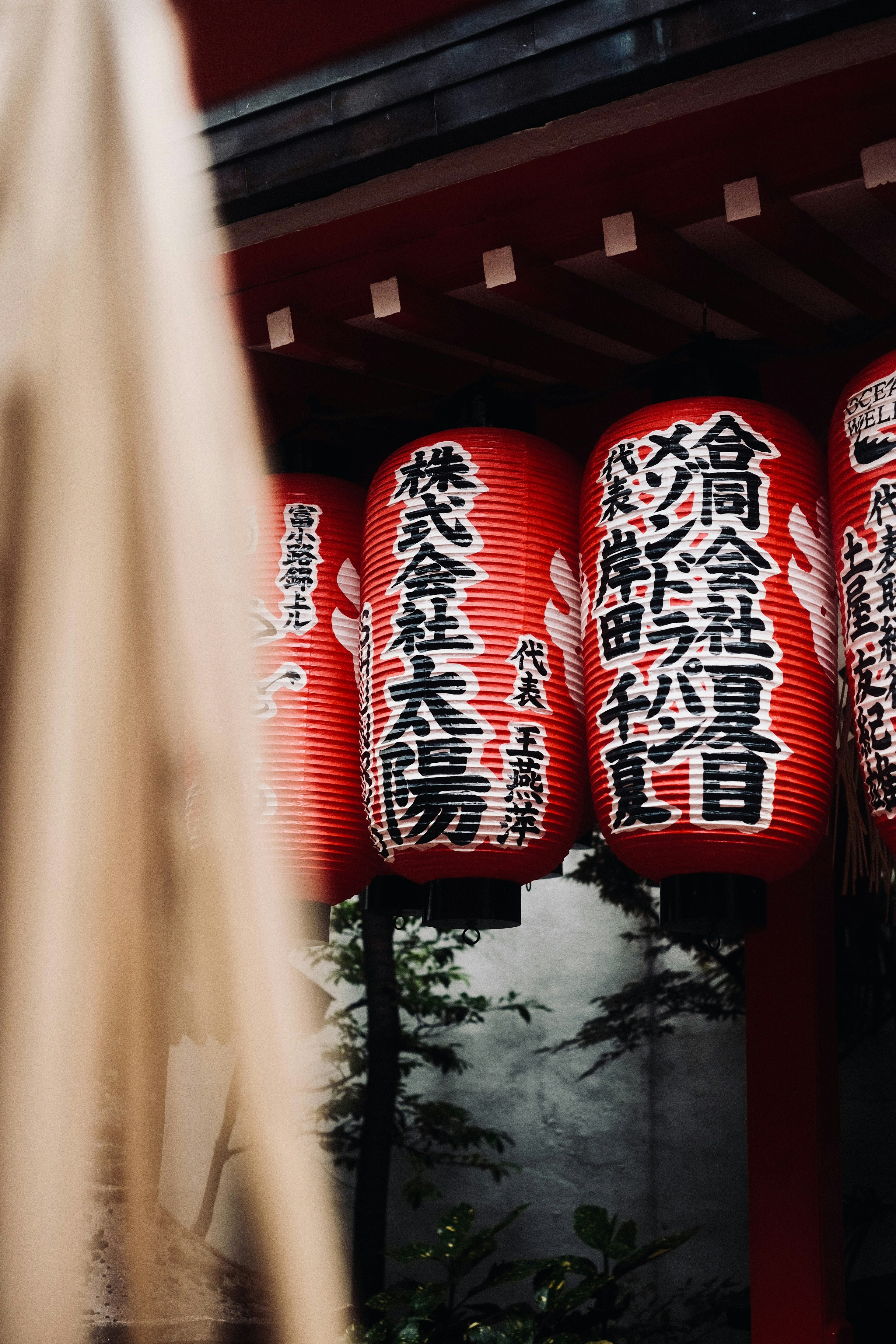 Red Lantern Row at a Quiet Shrine