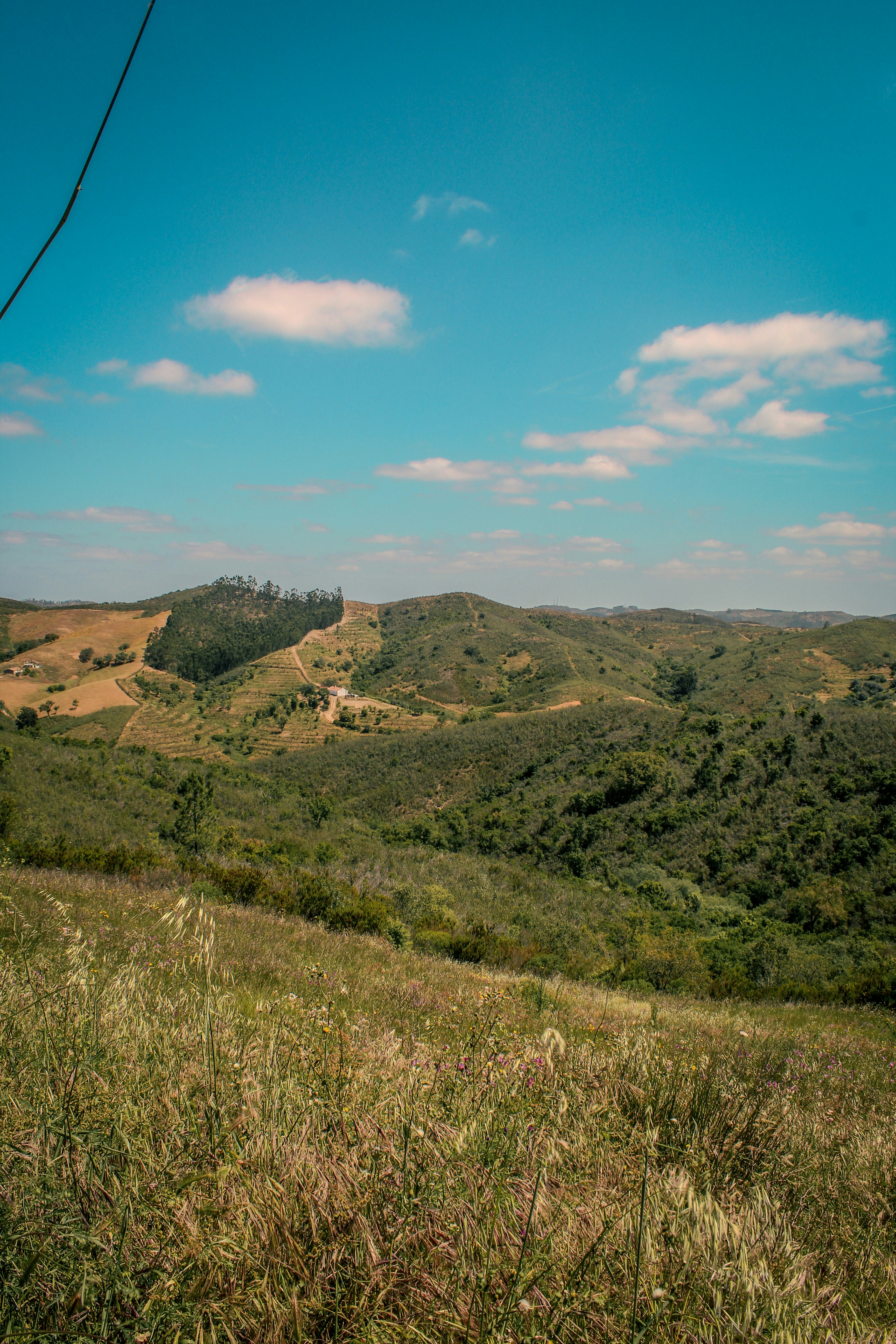 Rolling Valleys Under a Clear Summer Sky