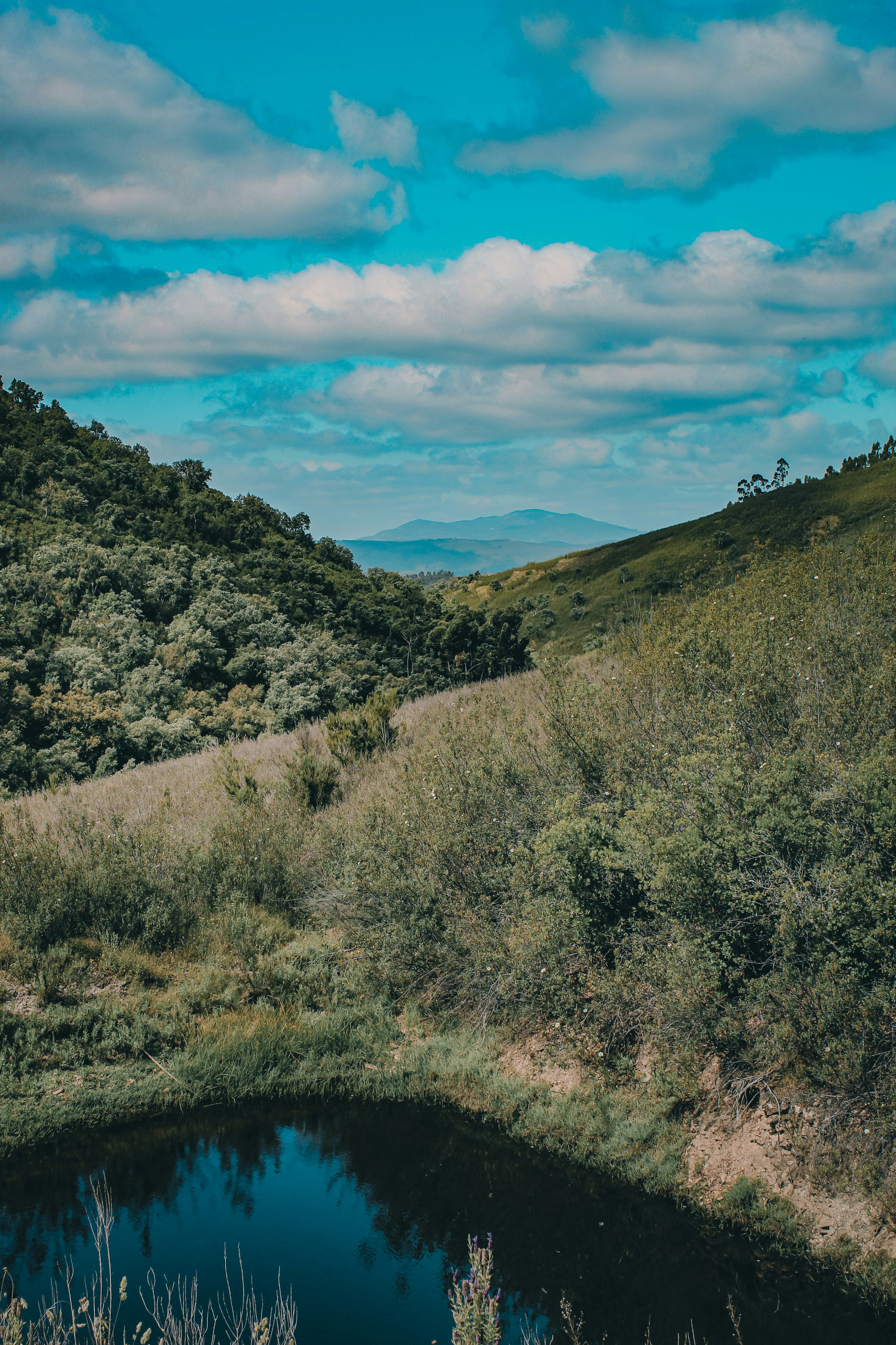 A Valley of Echoes: Creek, Hills, and Sky