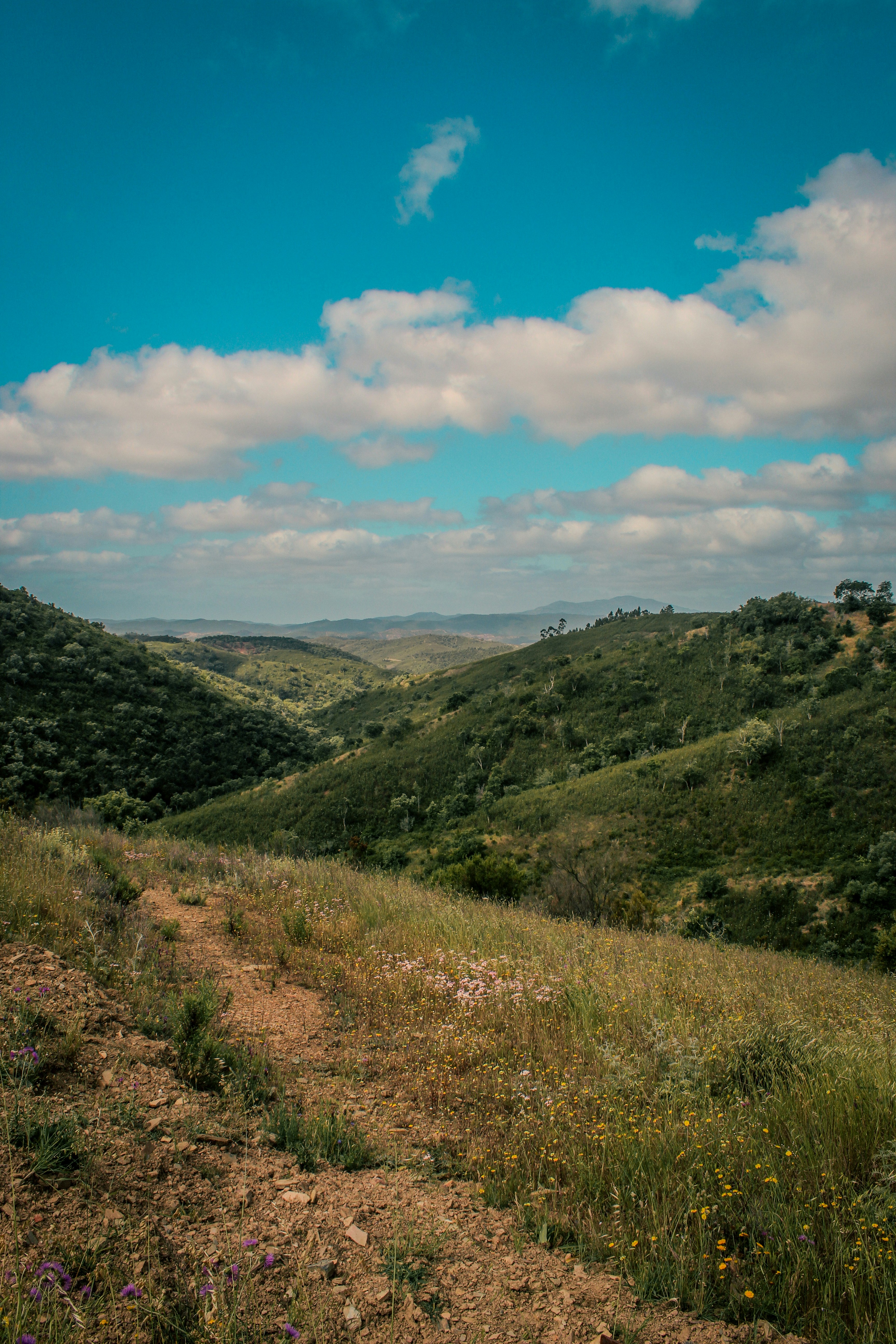 Rolling Valleys Beneath a Crisp Blue Sky