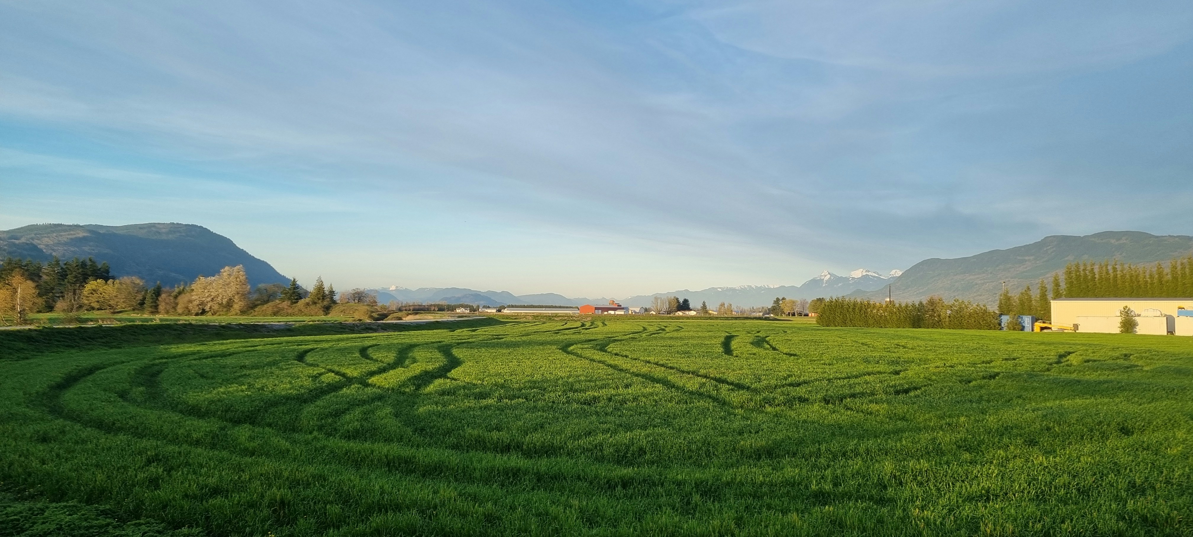 Sunlit Field Lines: A Quiet Boundary Between Farm and Horizon