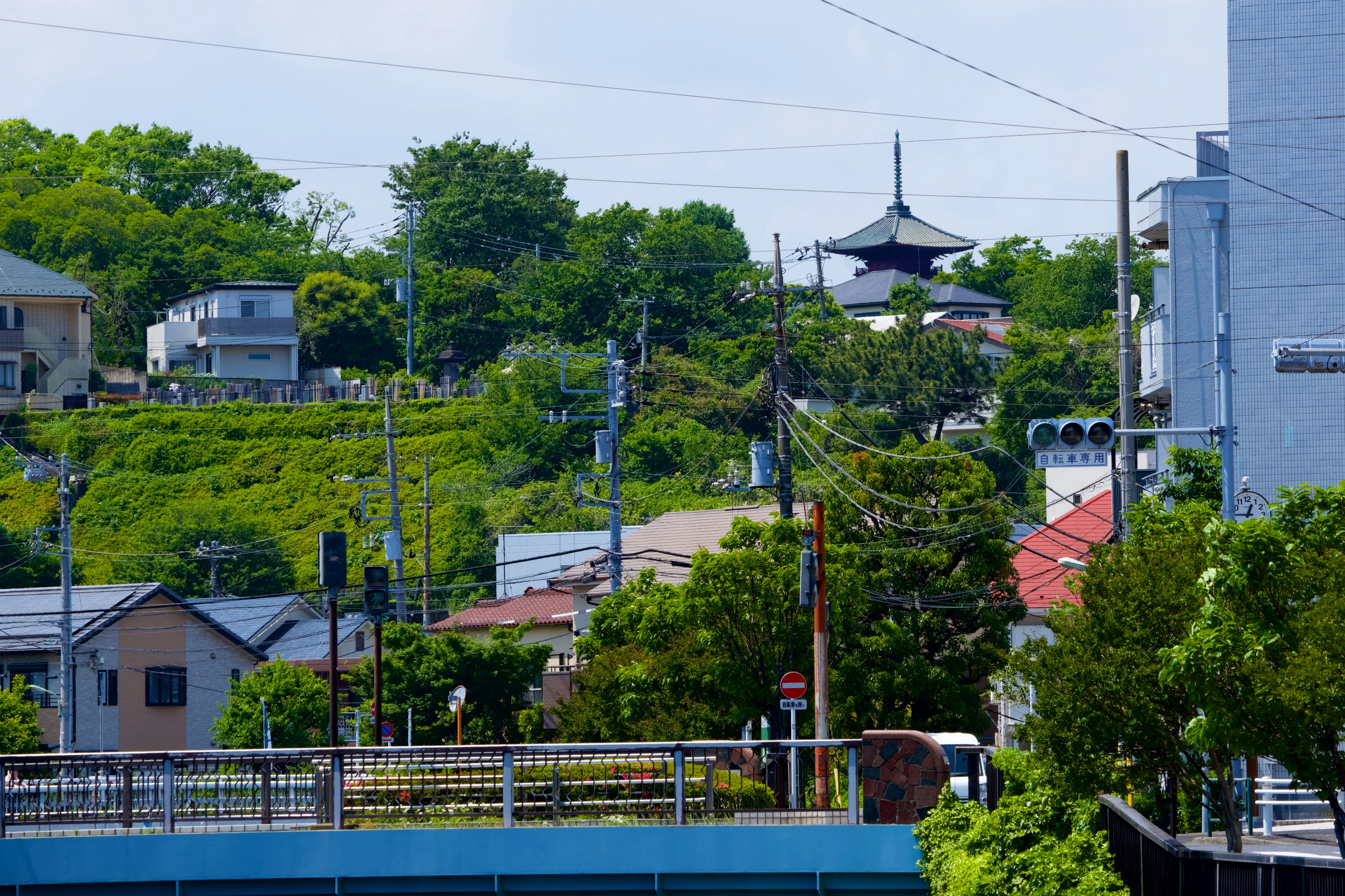 Urban Crest: A Quiet Riverside Neighborhood with a Pagoda Skyline