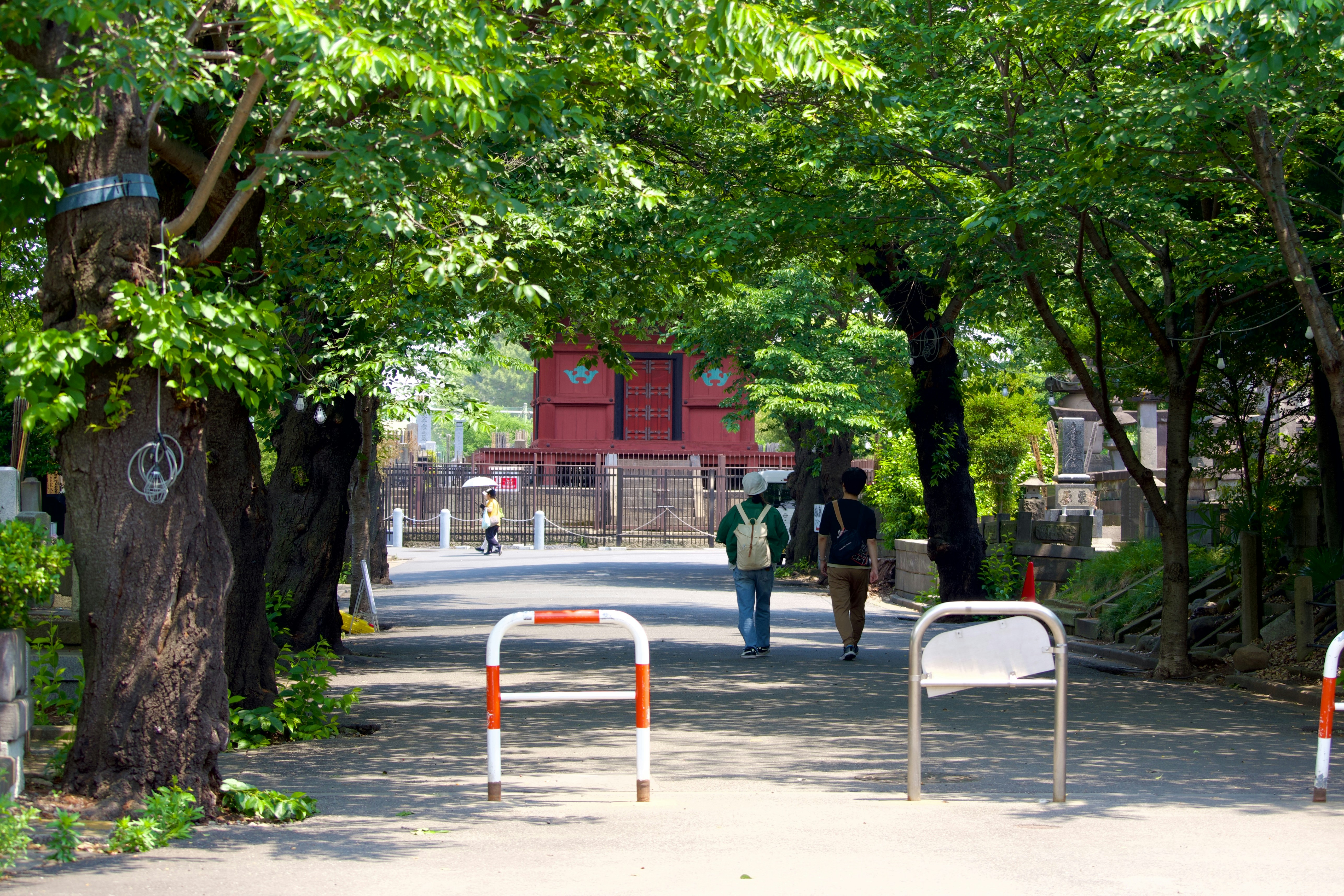 Path through the grove: pedestrians under dappled shade toward distant red gate