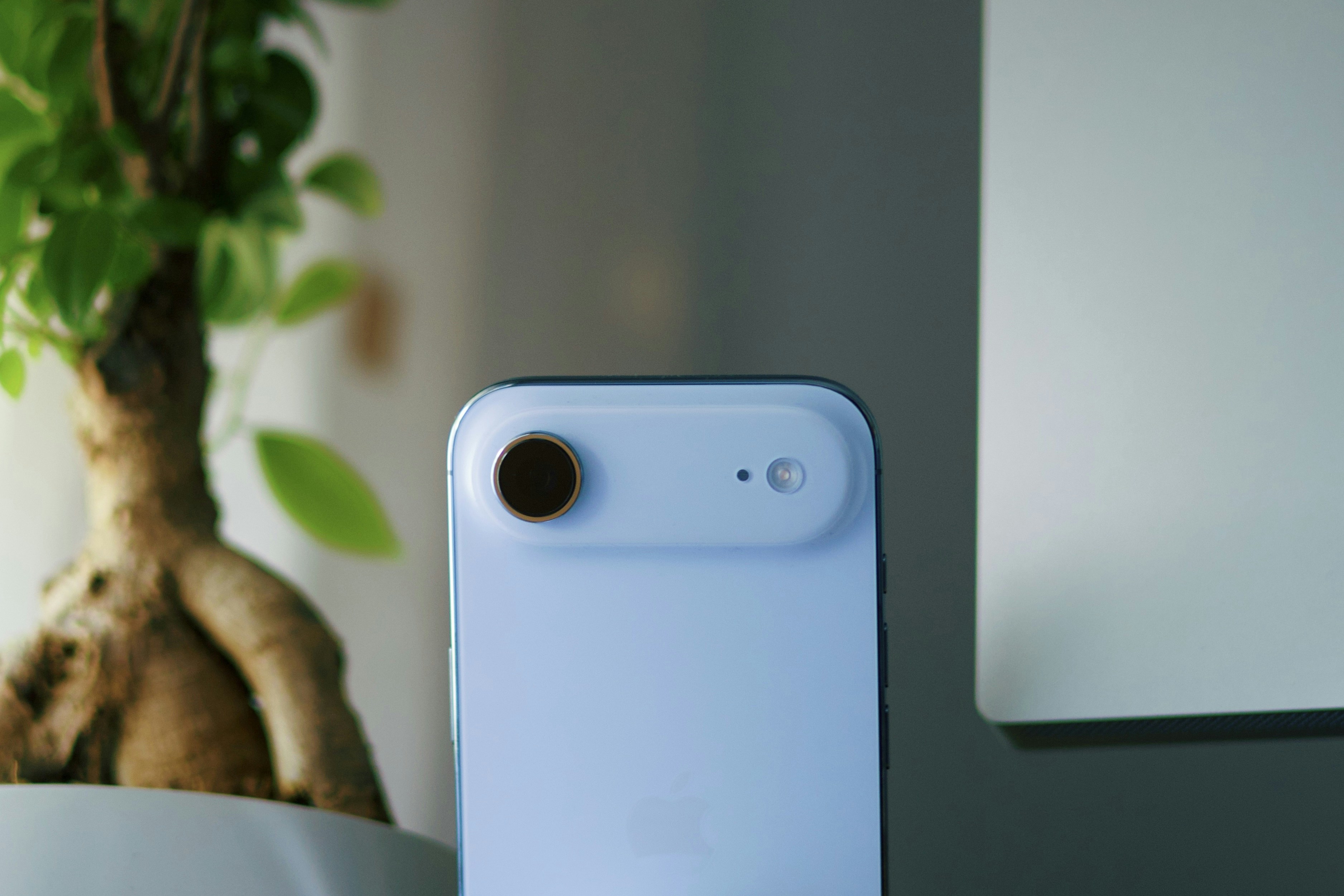 Blue iPhone Portrait: Minimal Desk Setup with Plant Backdrop