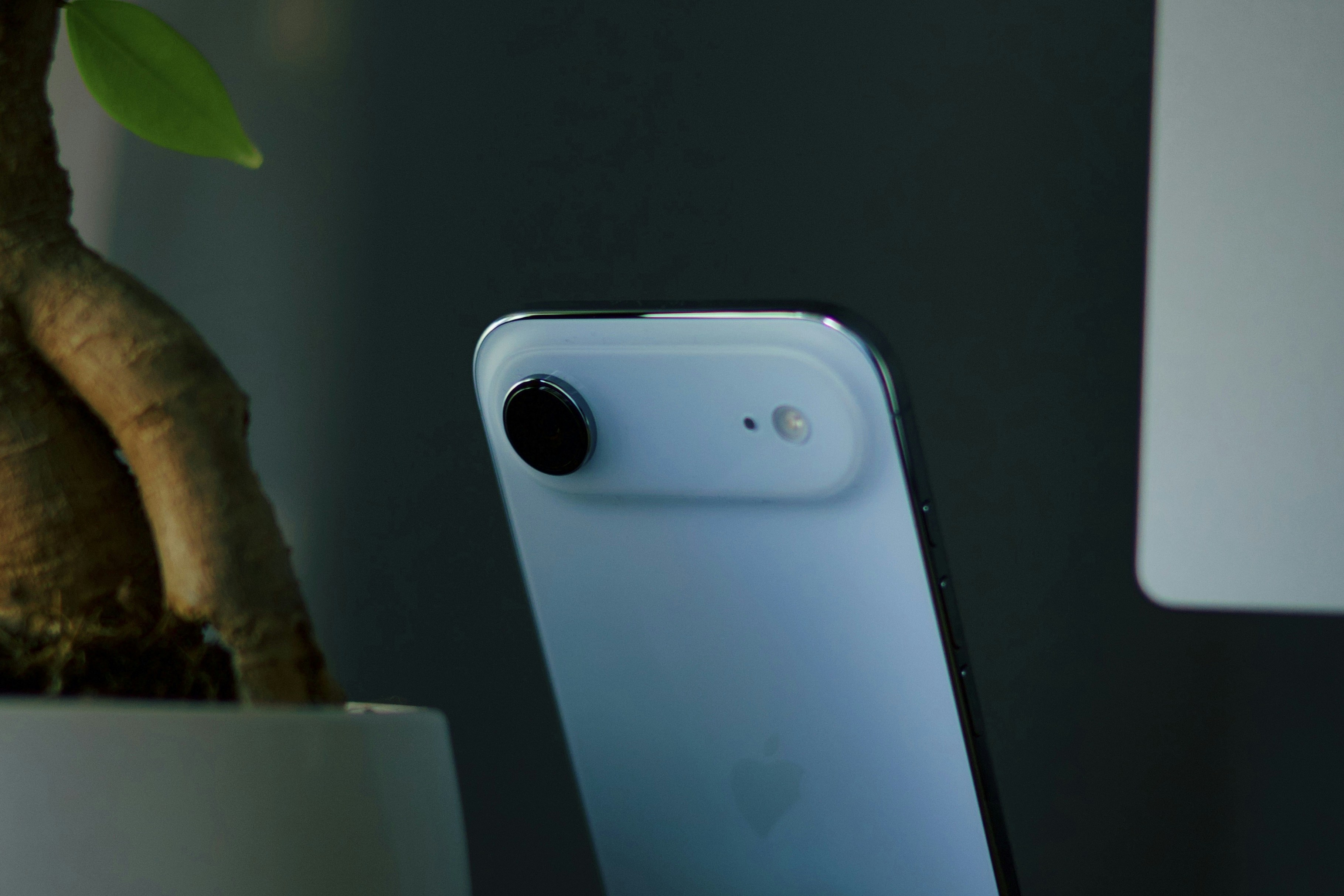 Blue iPhone Propped Beside a Plant: Subtle Tech Portrait in Soft Lighting