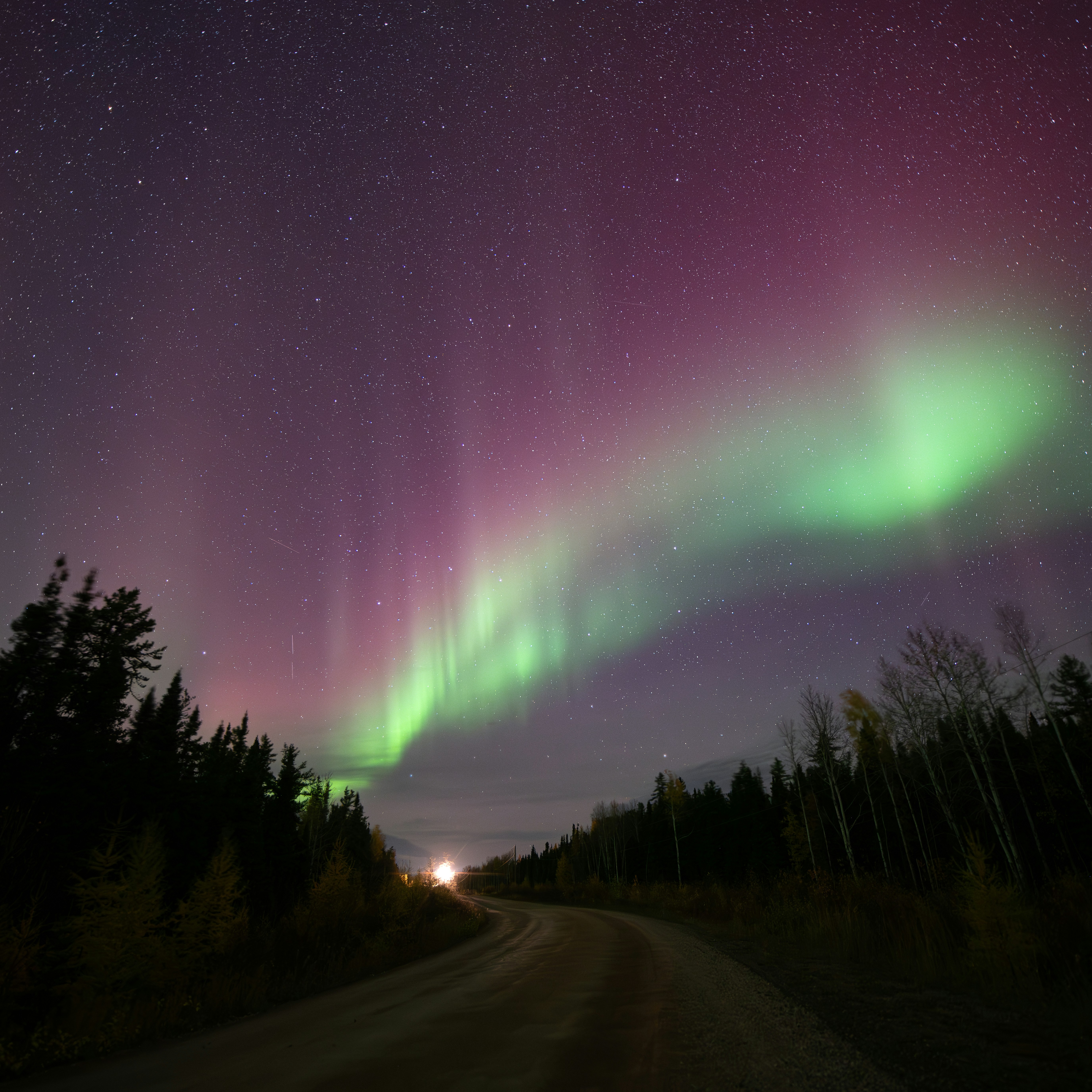 Aurora Ribbon Over a Forest Road