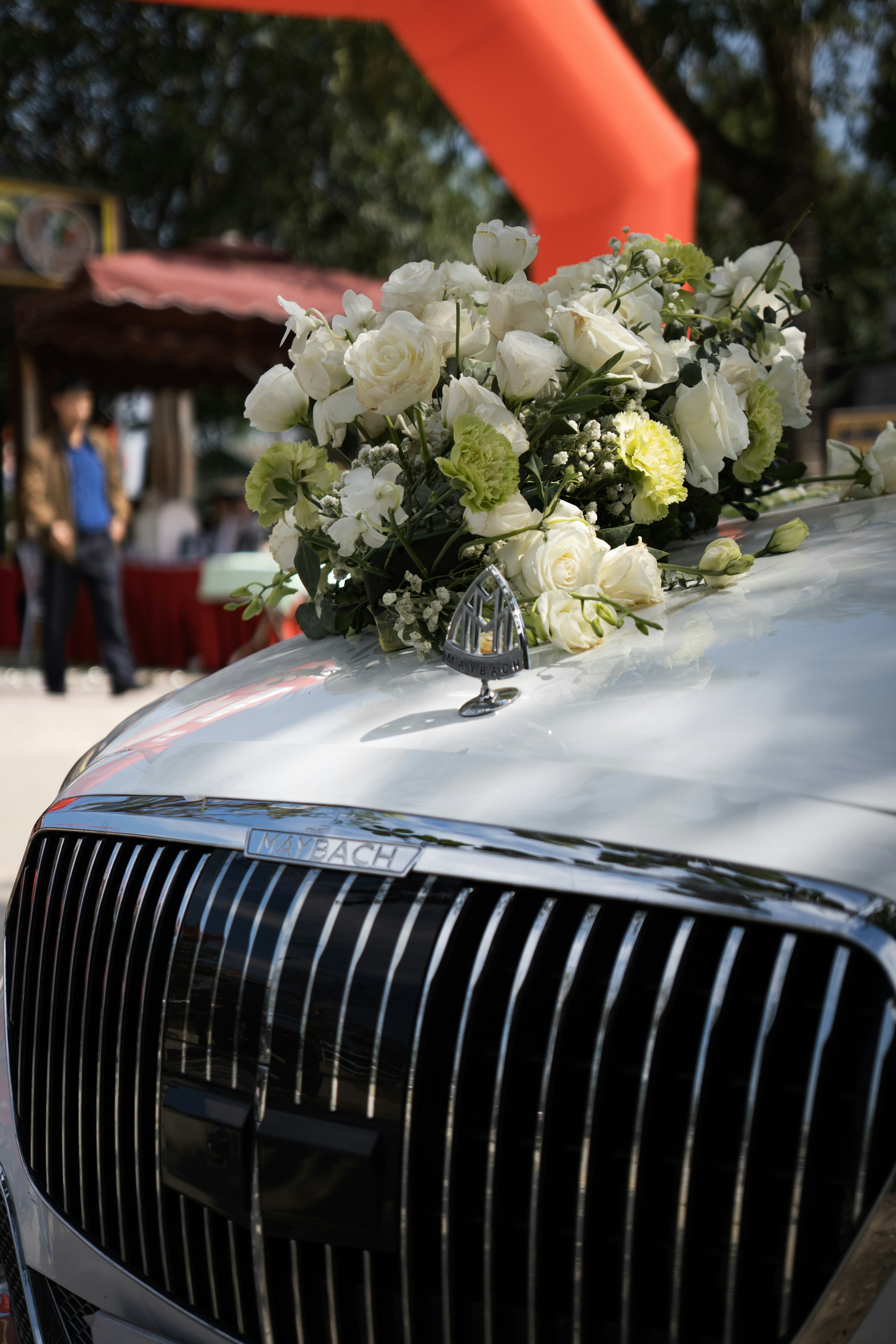 White floral crest on a dignified chrome grille