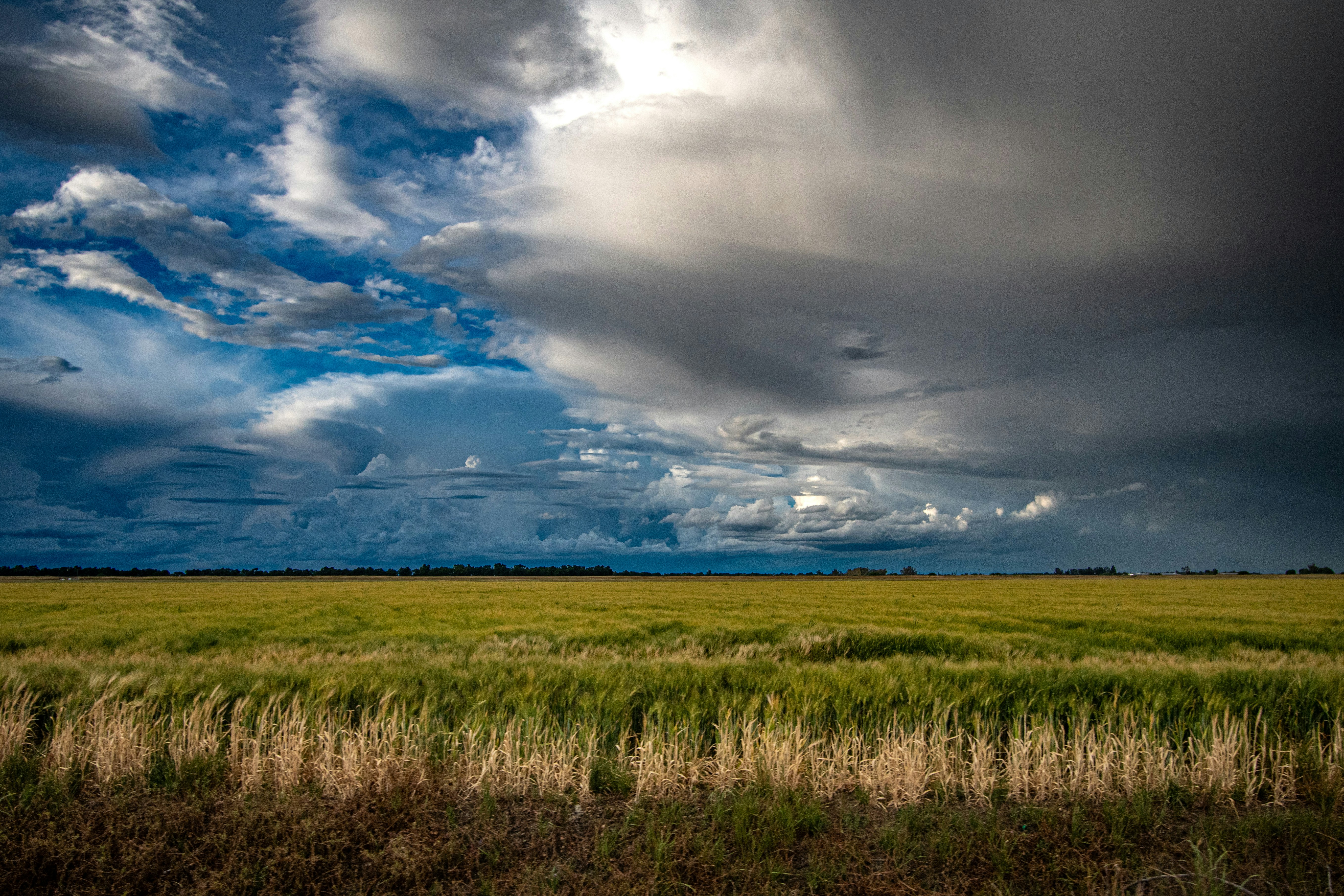 Storm Approach Over a Prairie Sea