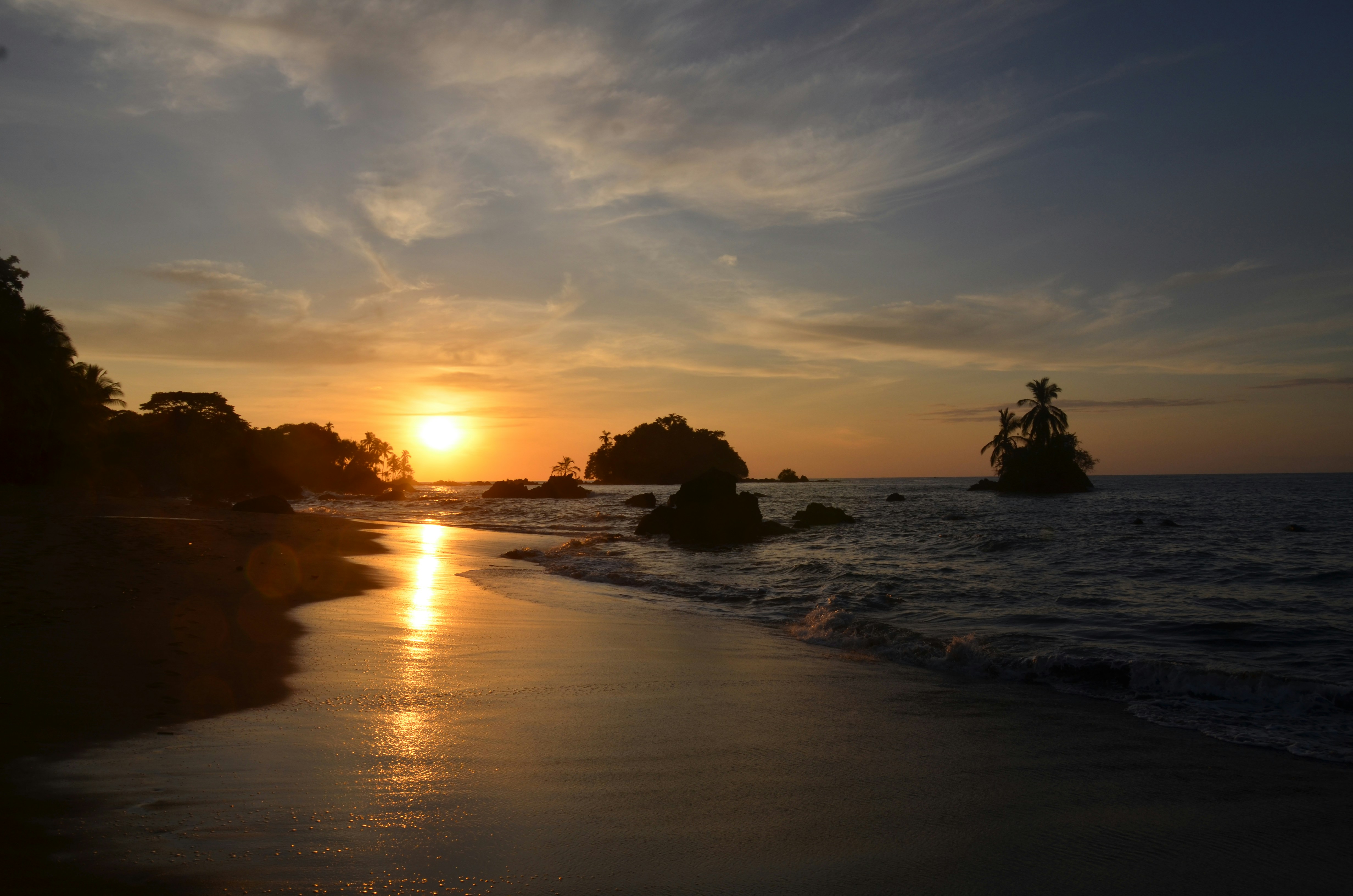 Sunlit Strand: Silhouetted Trees and Rolling Tide at Dusk