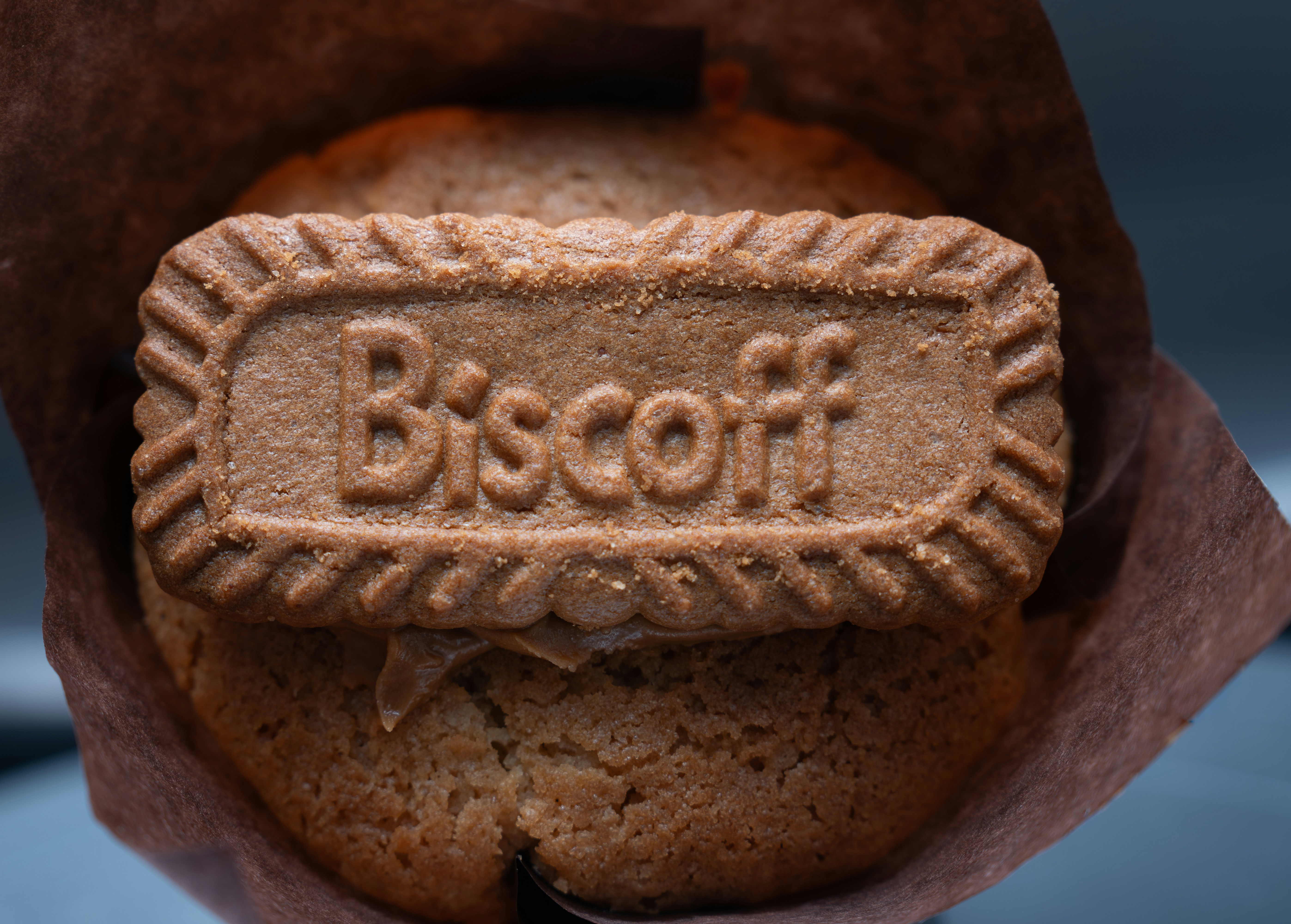 Biscuity Crest: A Close-Up of a Ridge-Patterned Cookie Crowned with a Biscotti-Like Stamp