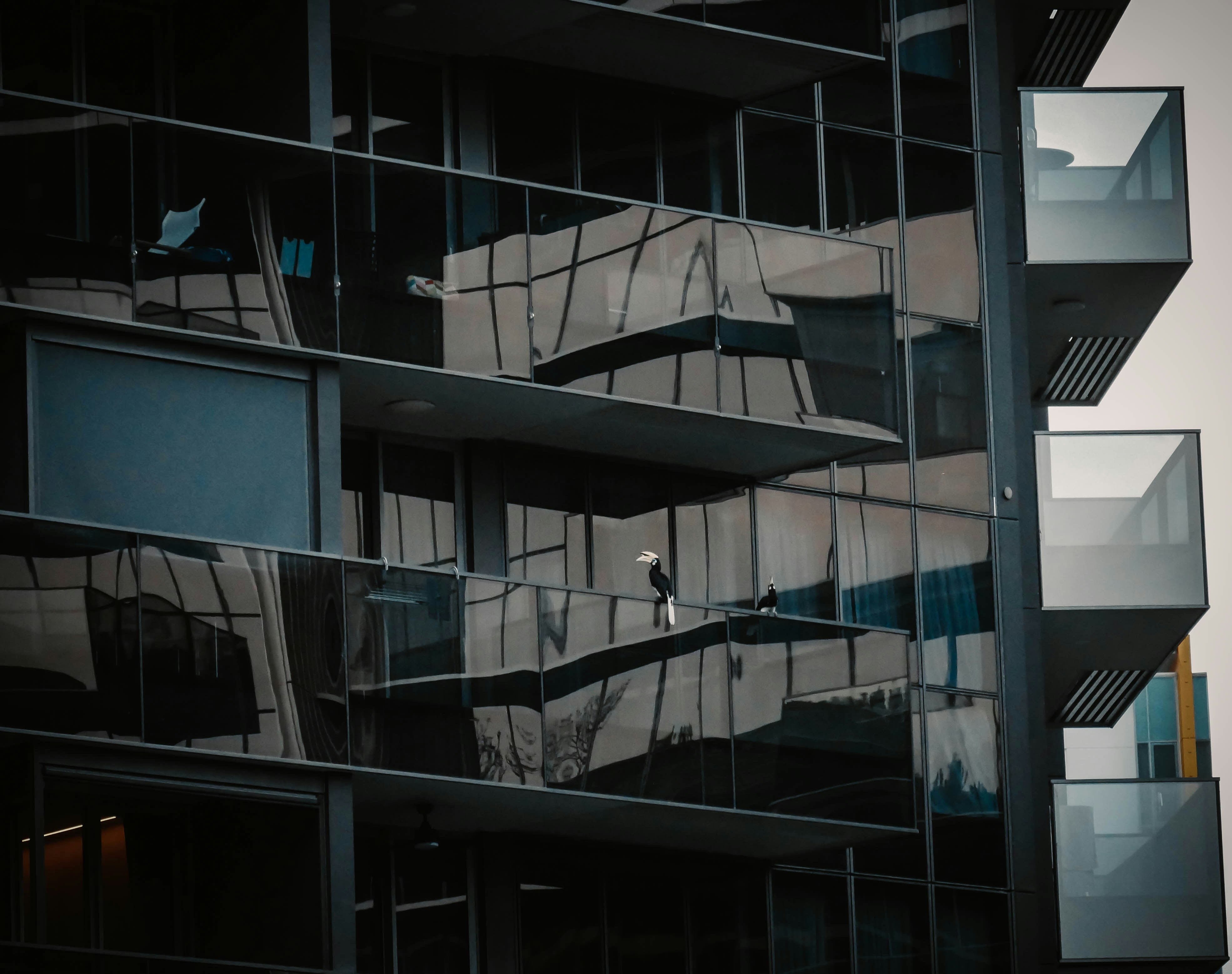 Glass Facade Echoes: A Worker Walking the Line Across Reflections