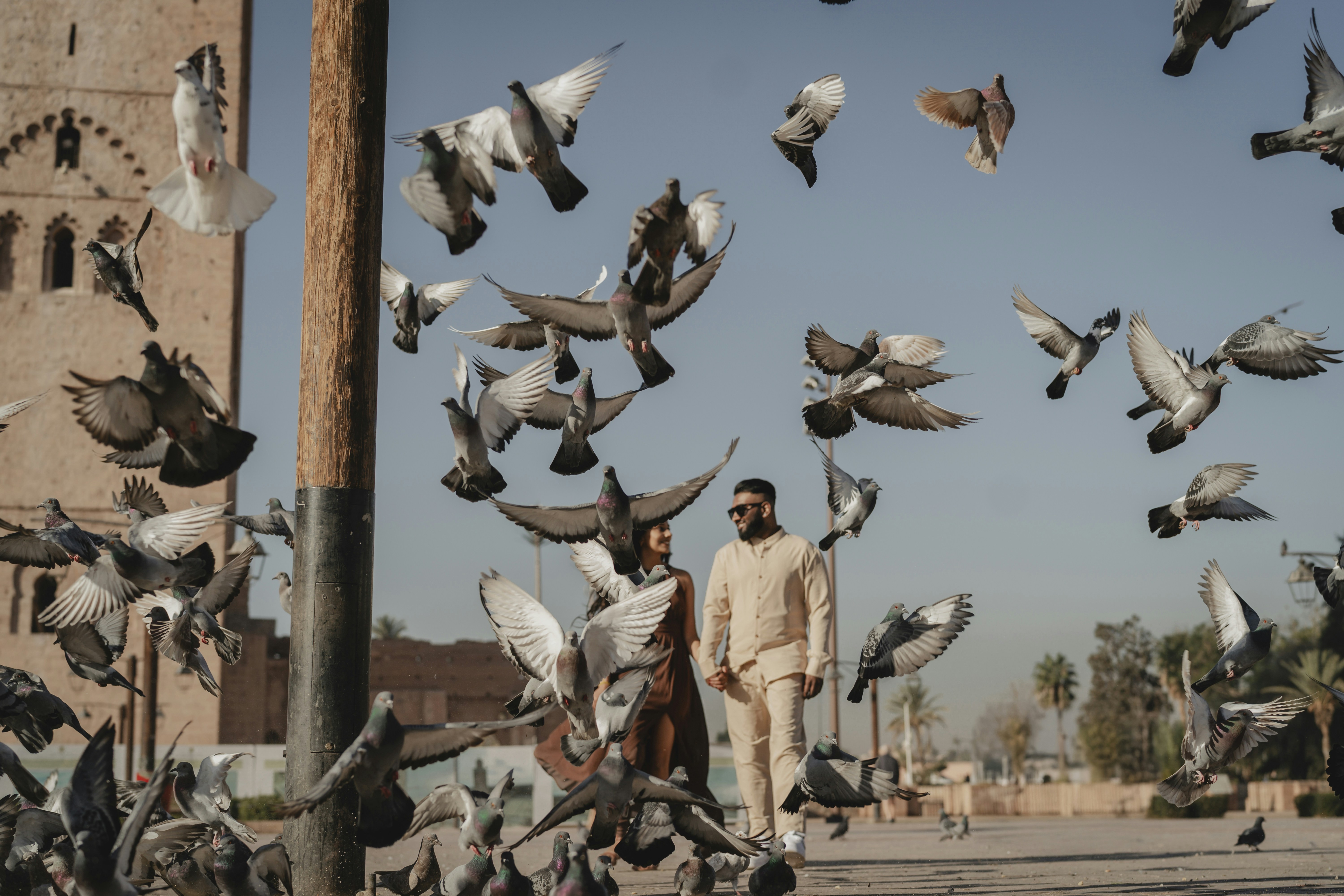 Pigeons in Flight Surround a Silent Pair in a Desert Square