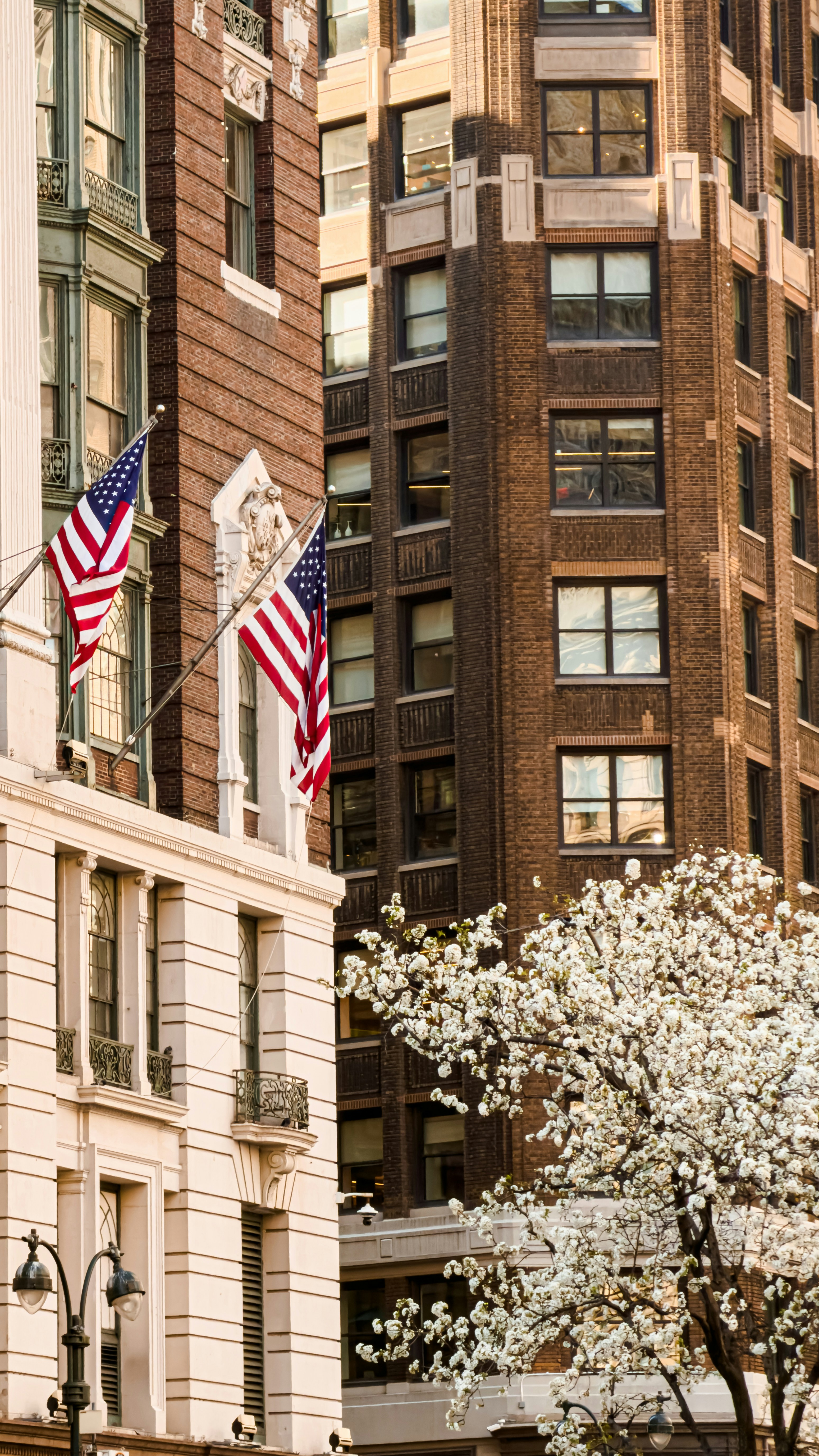 American Flags and Spring Bloom Over a City Facade